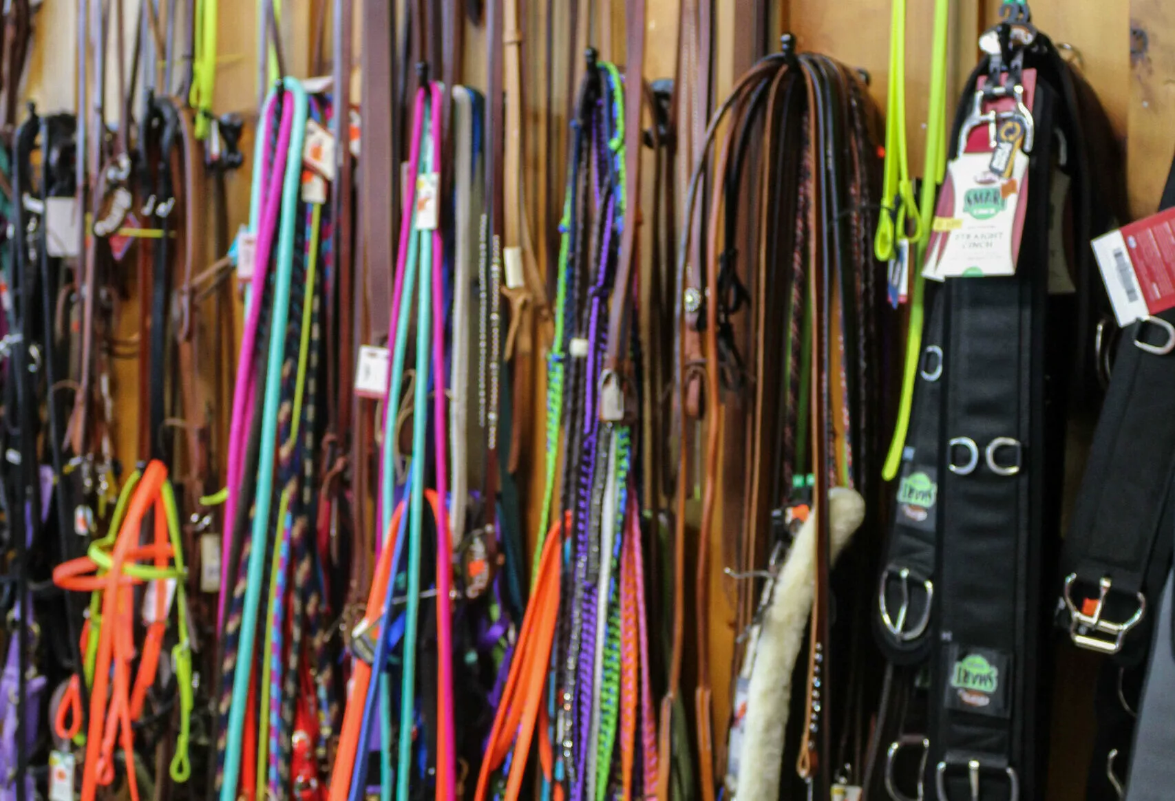 Leid Shoe & Saddlery - Just Plain Business