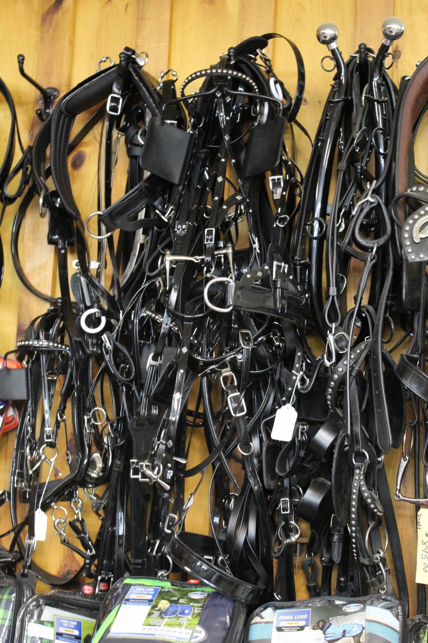 Leid Shoe & Saddlery | Just Plain Business