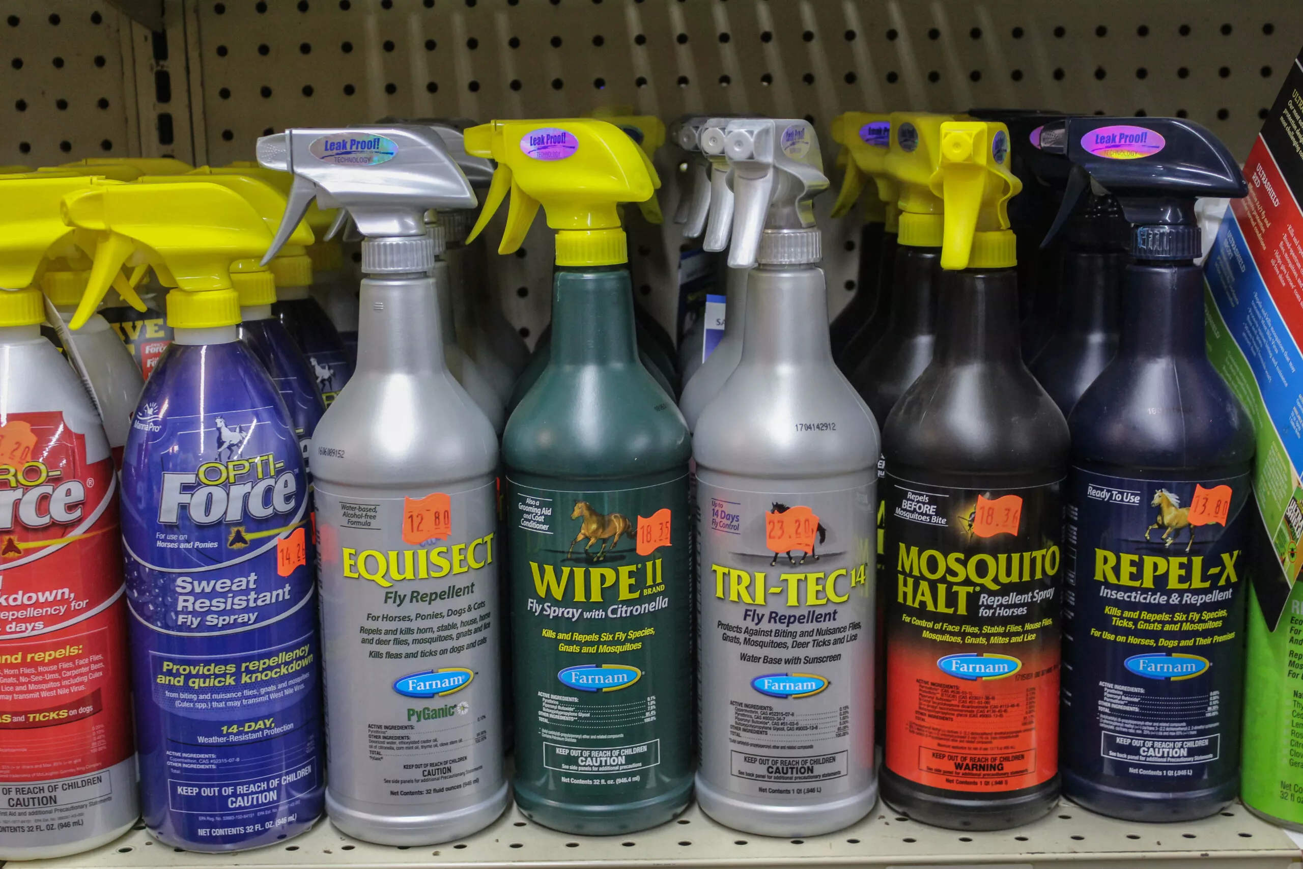 Leid Shoe & Saddlery - Just Plain Business