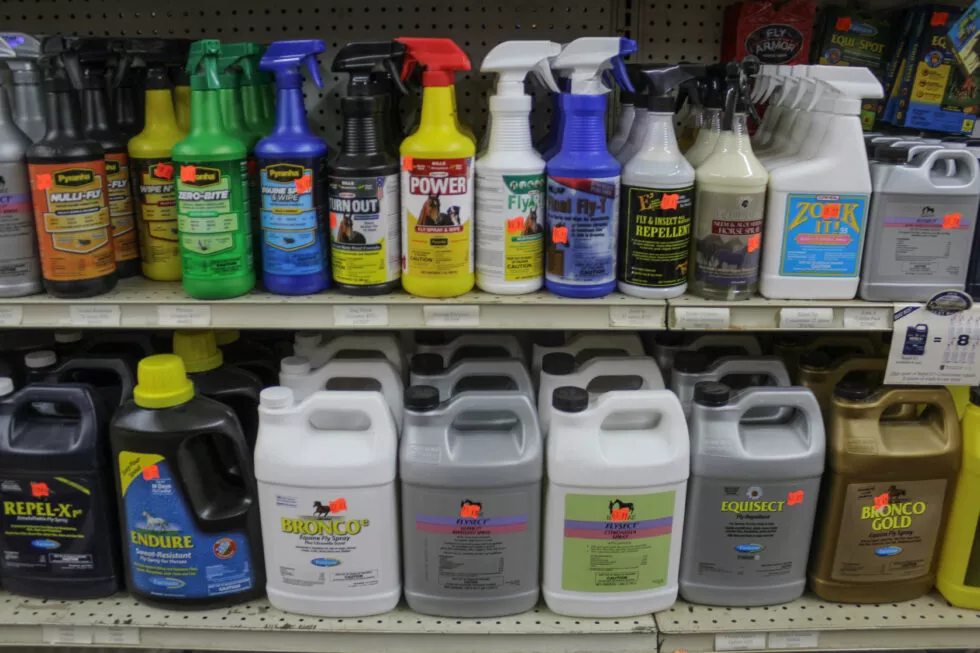 Leid Shoe & Saddlery - Just Plain Business