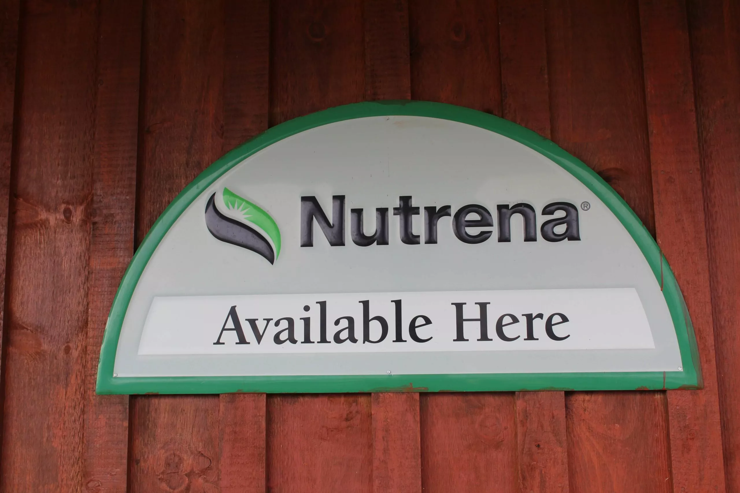 Leid Shoe & Saddlery - Just Plain Business