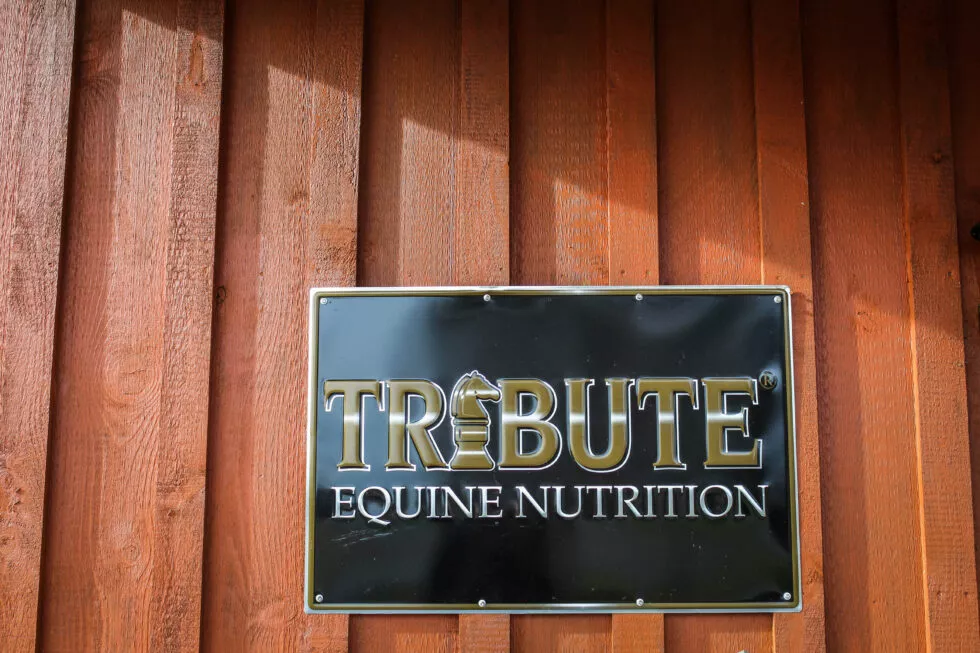 Leid Shoe & Saddlery - Just Plain Business