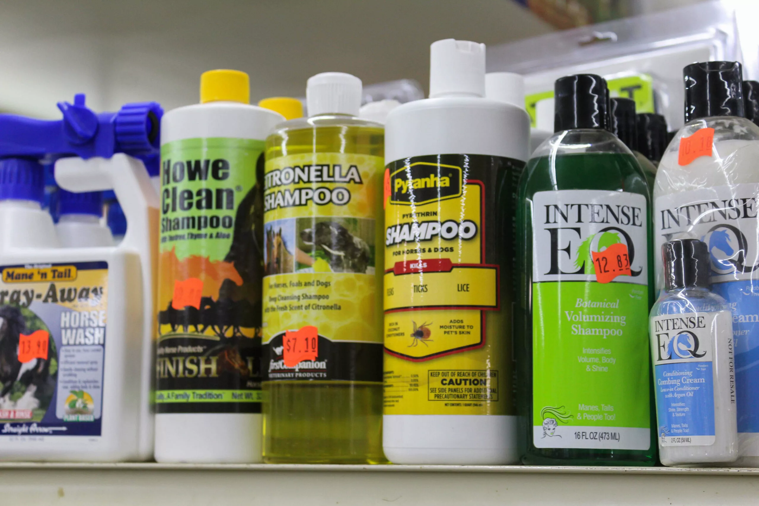 Leid Shoe & Saddlery - Just Plain Business