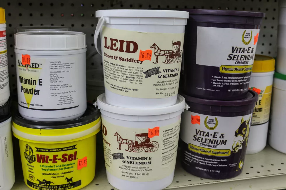 Leid Shoe & Saddlery - Just Plain Business