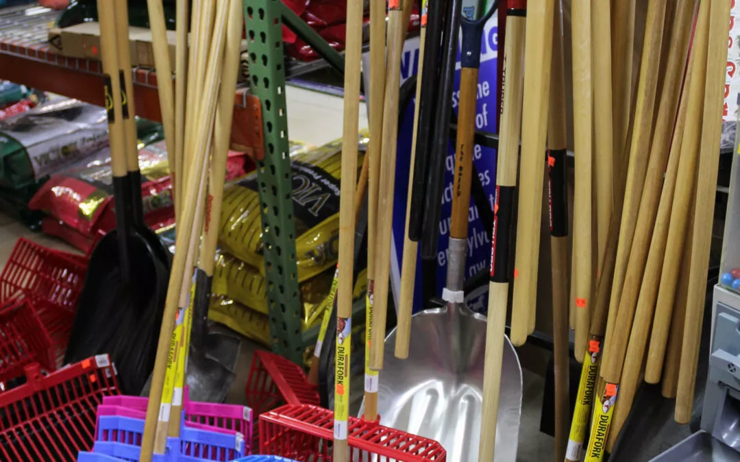 Leid Shoe & Saddlery | Just Plain Business