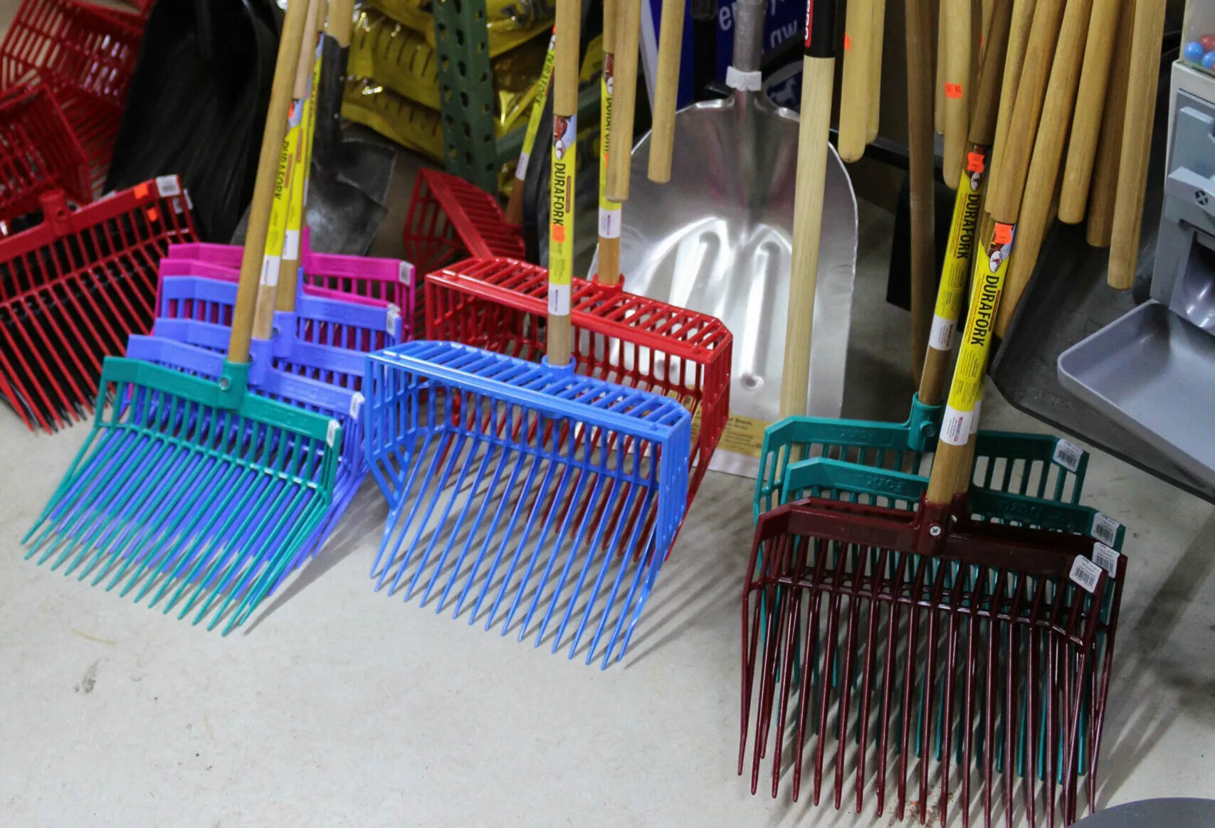 Leid Shoe & Saddlery - Just Plain Business