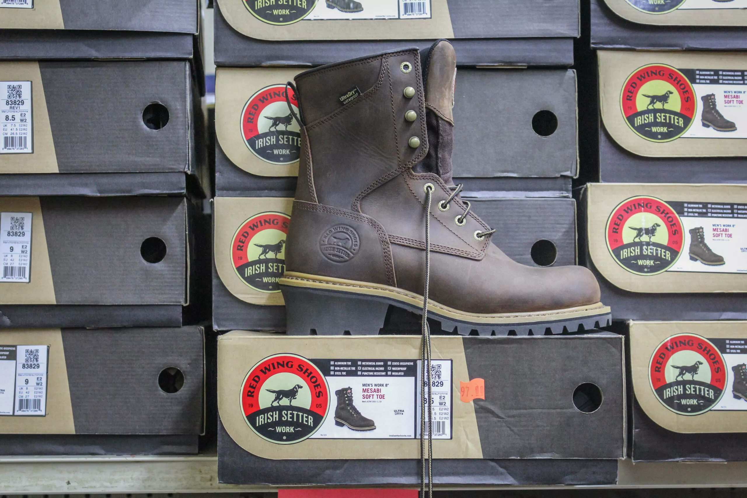 Leid Shoe & Saddlery - Just Plain Business