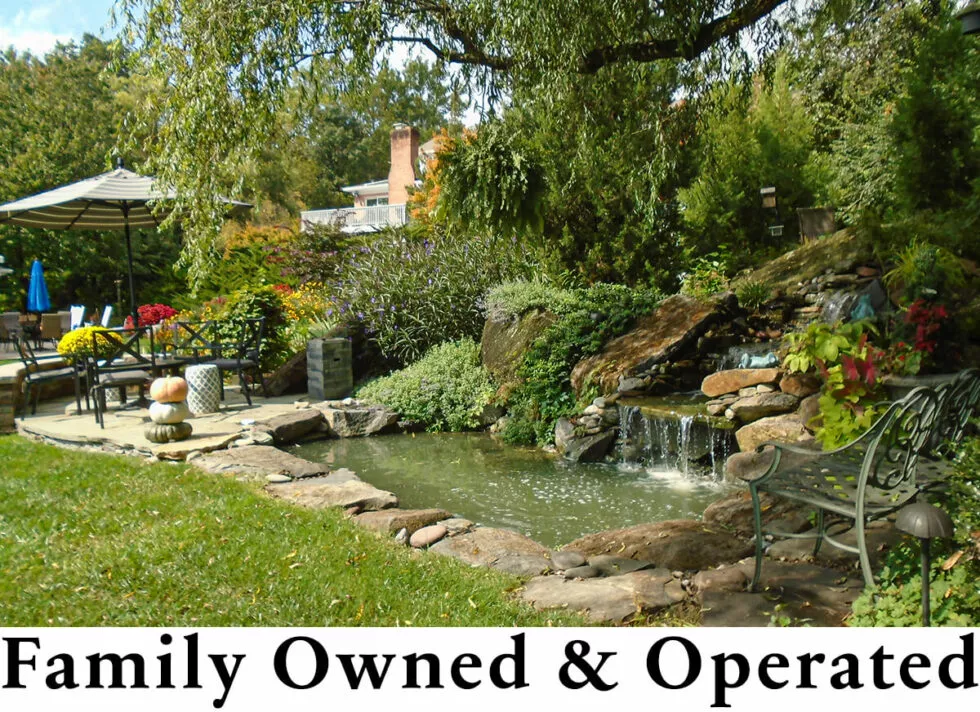 Keener Sensenig - Just Plain Business