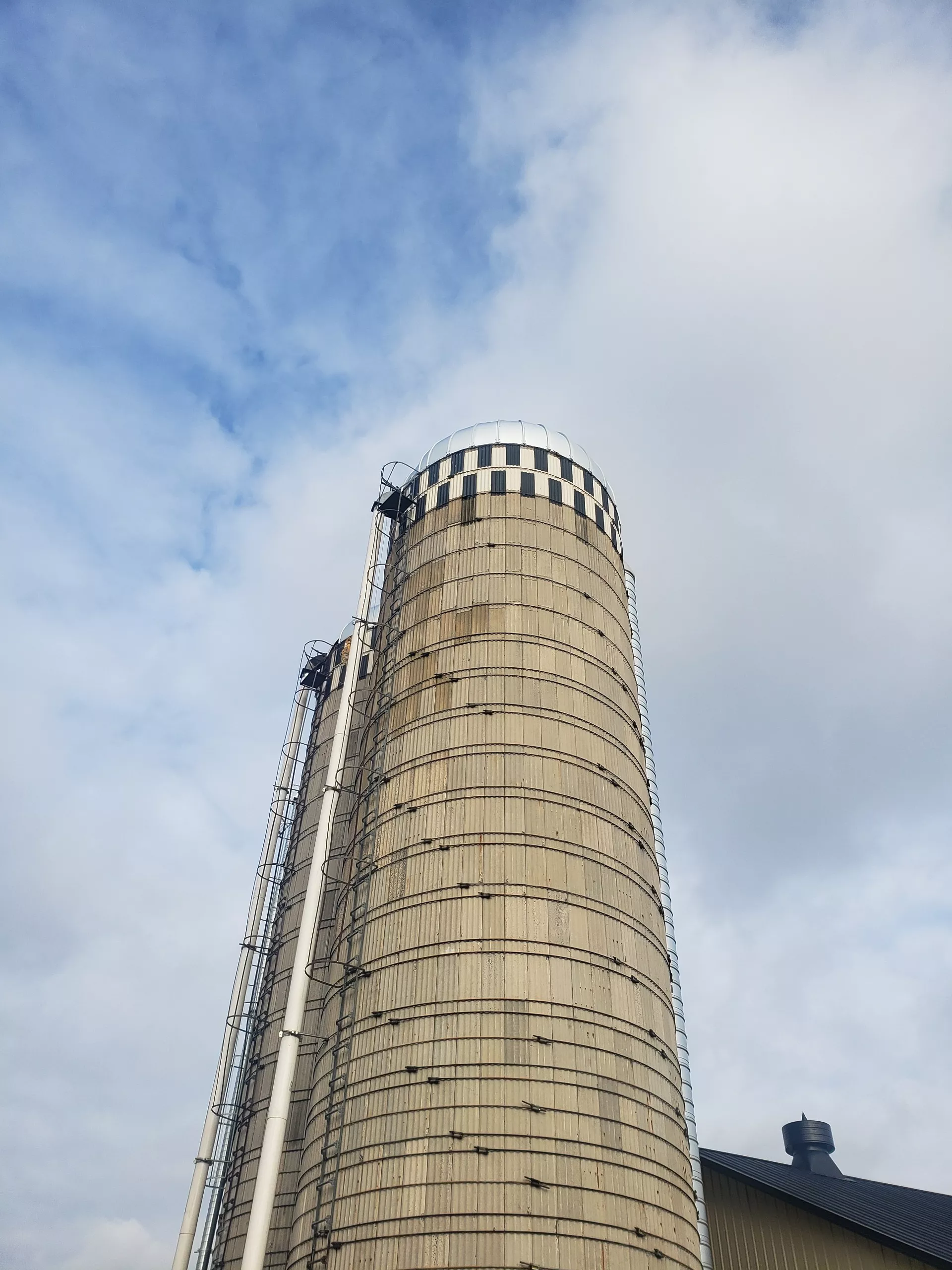 King’s Silo Services | Just Plain Business