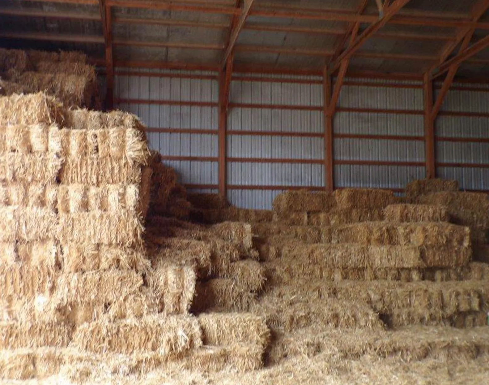 Allgyer Farms - Just Plain Business