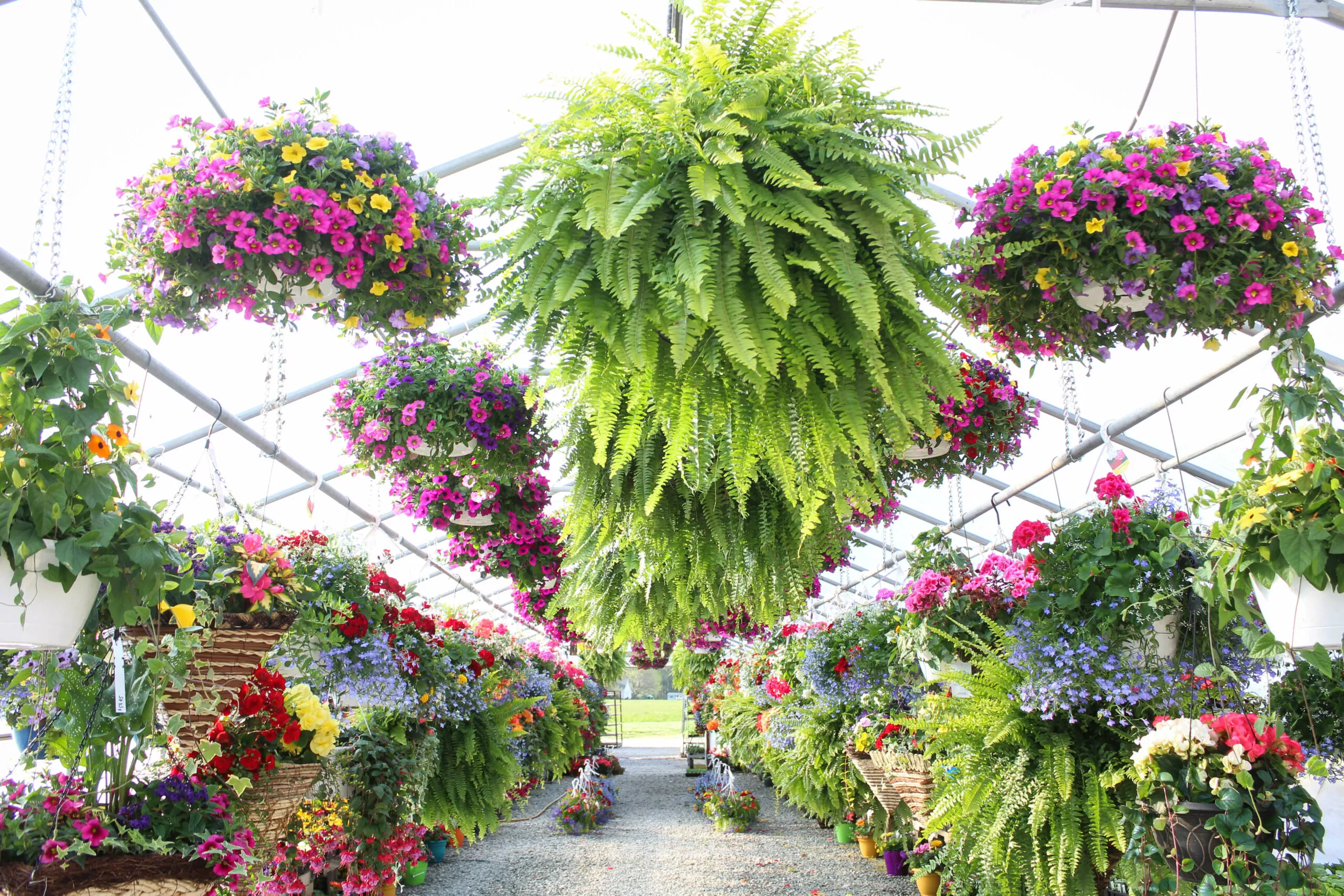 Detwiler's Farm Market - Just Plain Business