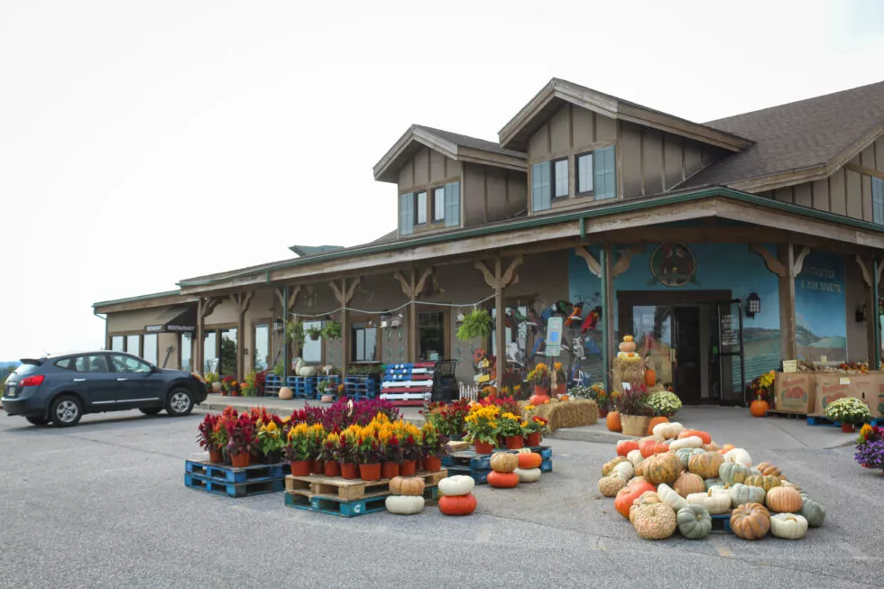 Country View Farm Market - Just Plain Business