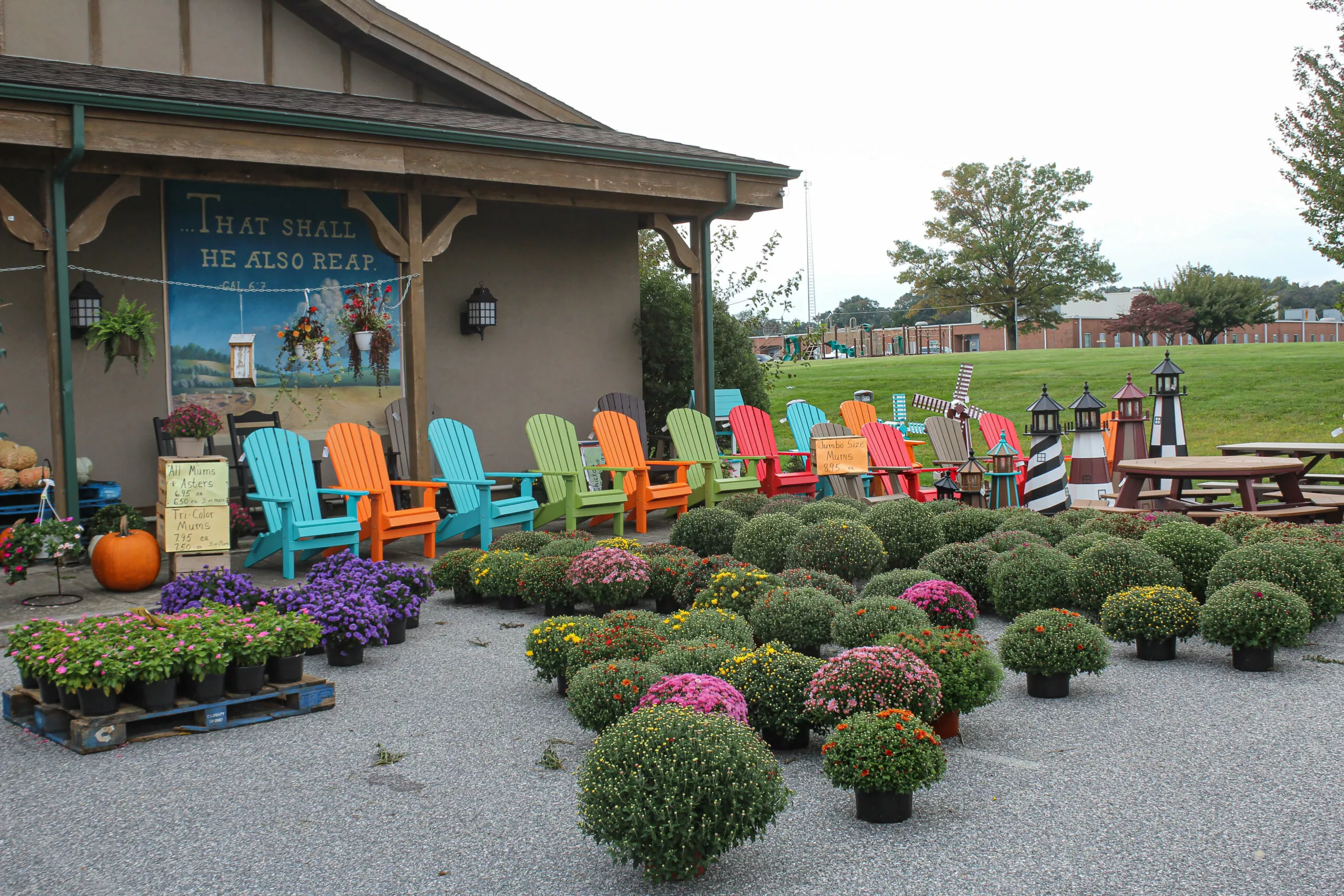 Country View Farm Market - Just Plain Business