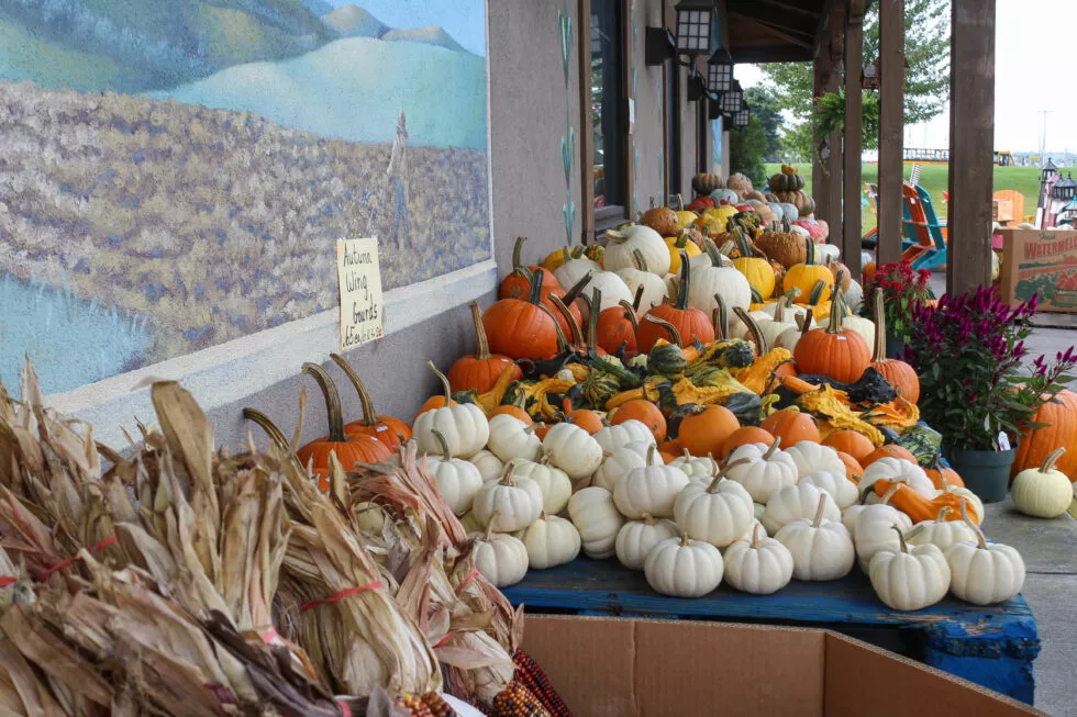 Country View Farm Market - Just Plain Business