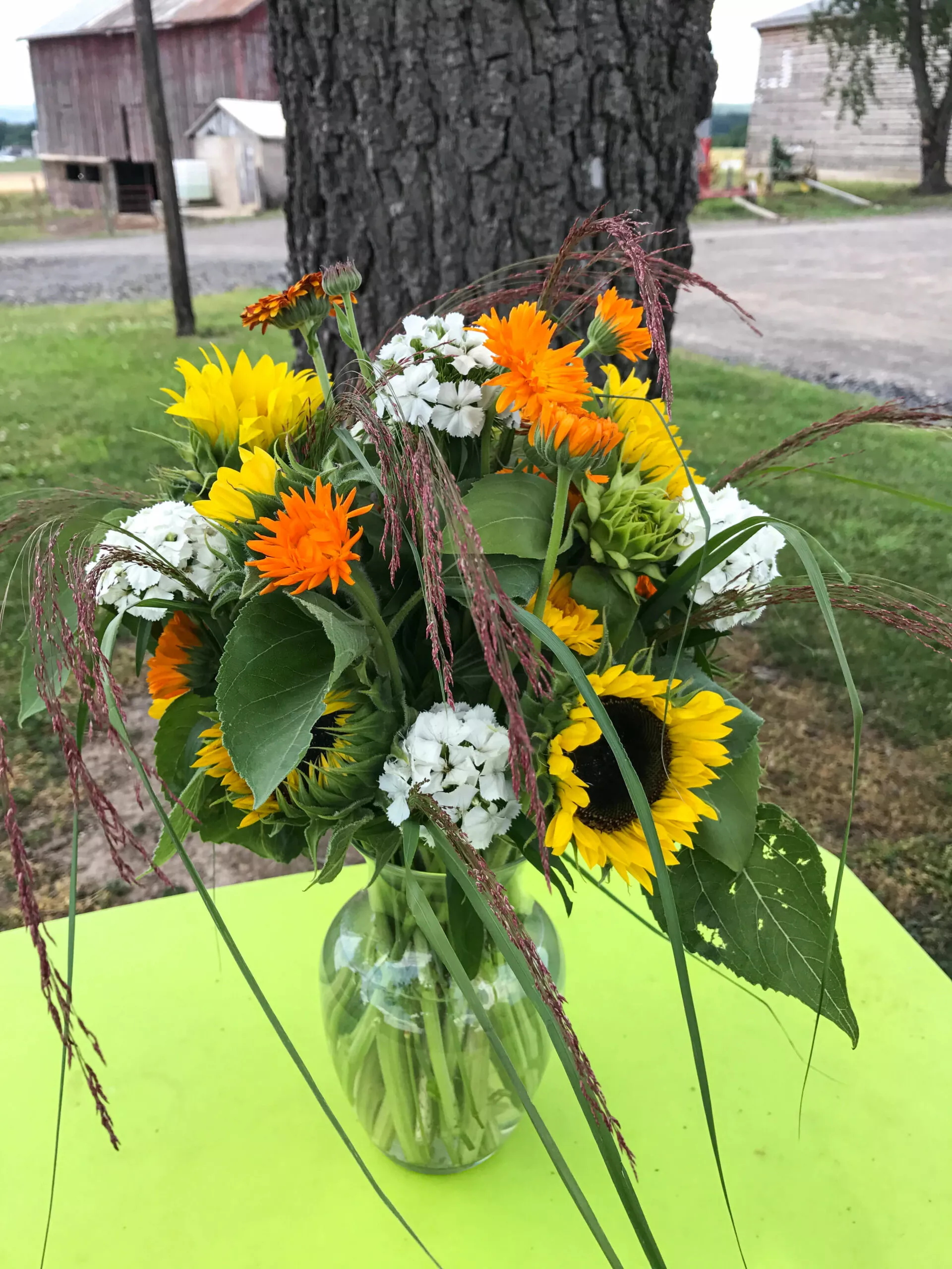 Breezy Acres Farm Flower Shop - Just Plain Business