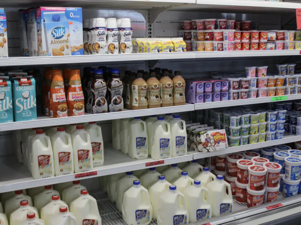 Dutch Country Store - Just Plain Business