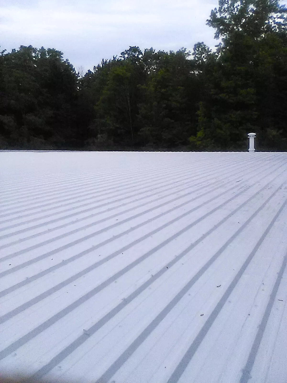 Byler Boys Metal Roofing - Just Plain Business