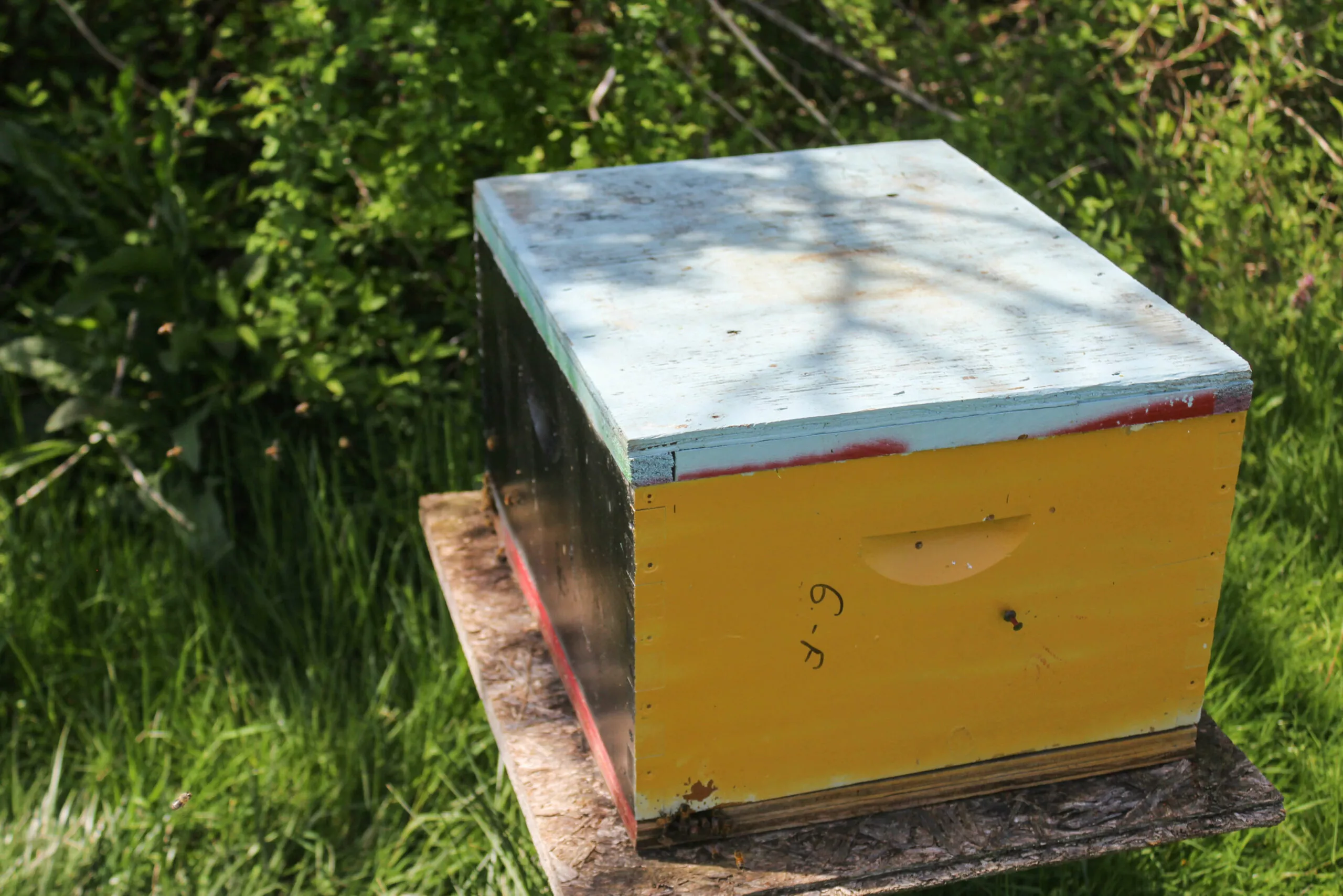 Natures Gold Apiaries | Just Plain Business