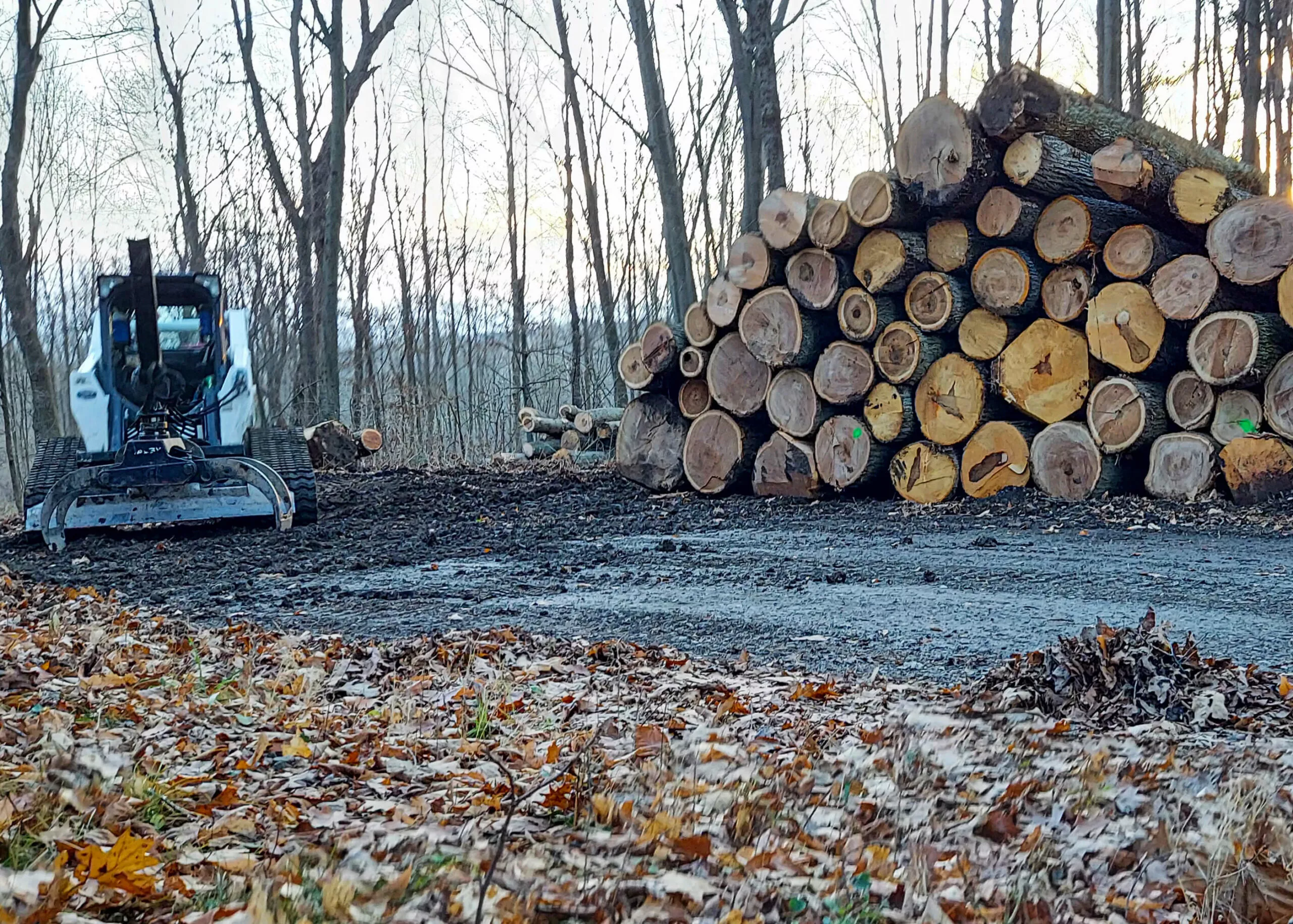 Lake Country Logging & Firewood - Just Plain Business