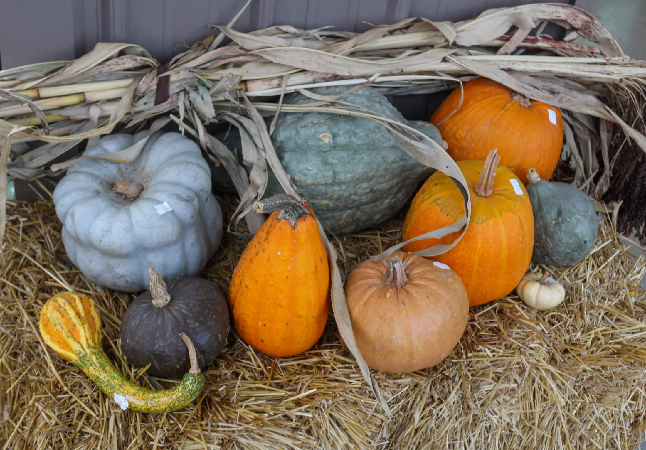 Shady View Farm Stand - Just Plain Business