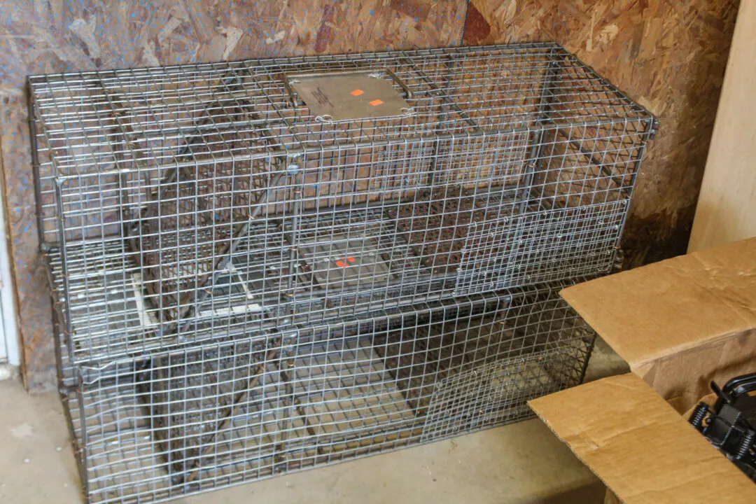 Center Field Tannery - Just Plain Business