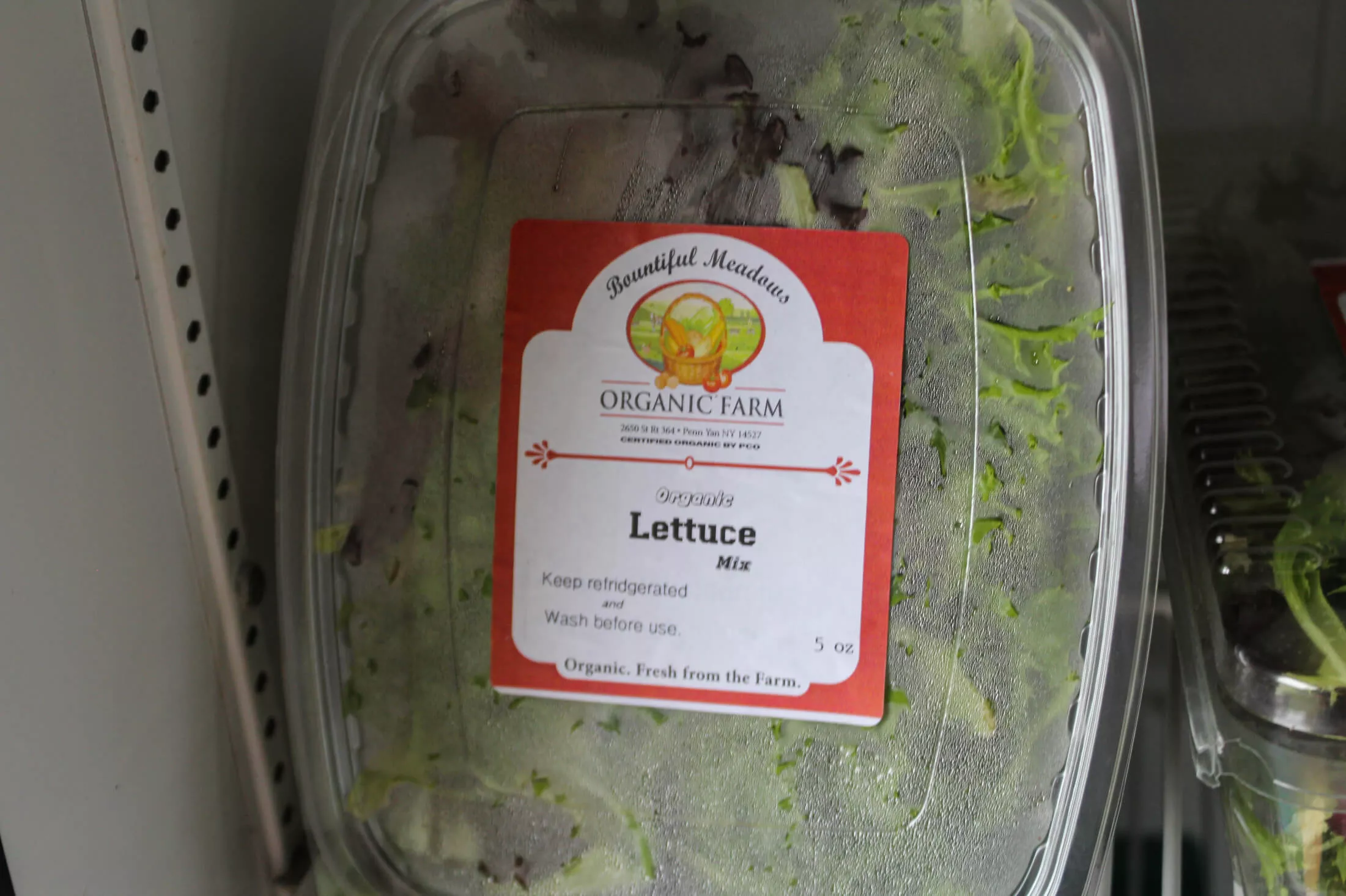 Bountiful Meadows Organic Farm - Just Plain Business