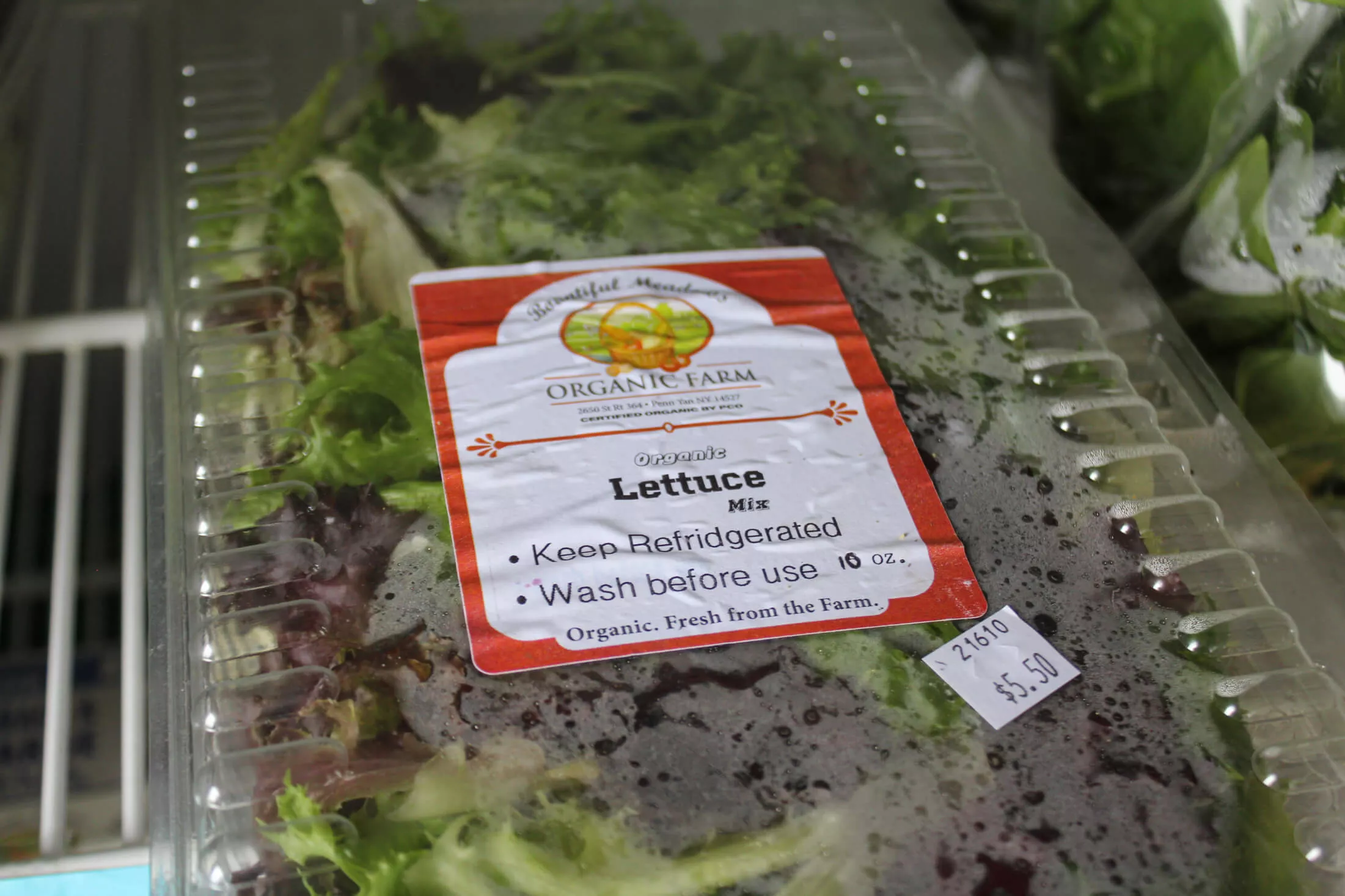 Bountiful Meadows Organic Farm - Just Plain Business