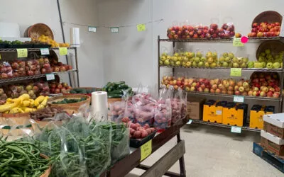 Fountain Acres Foods - Just Plain Business