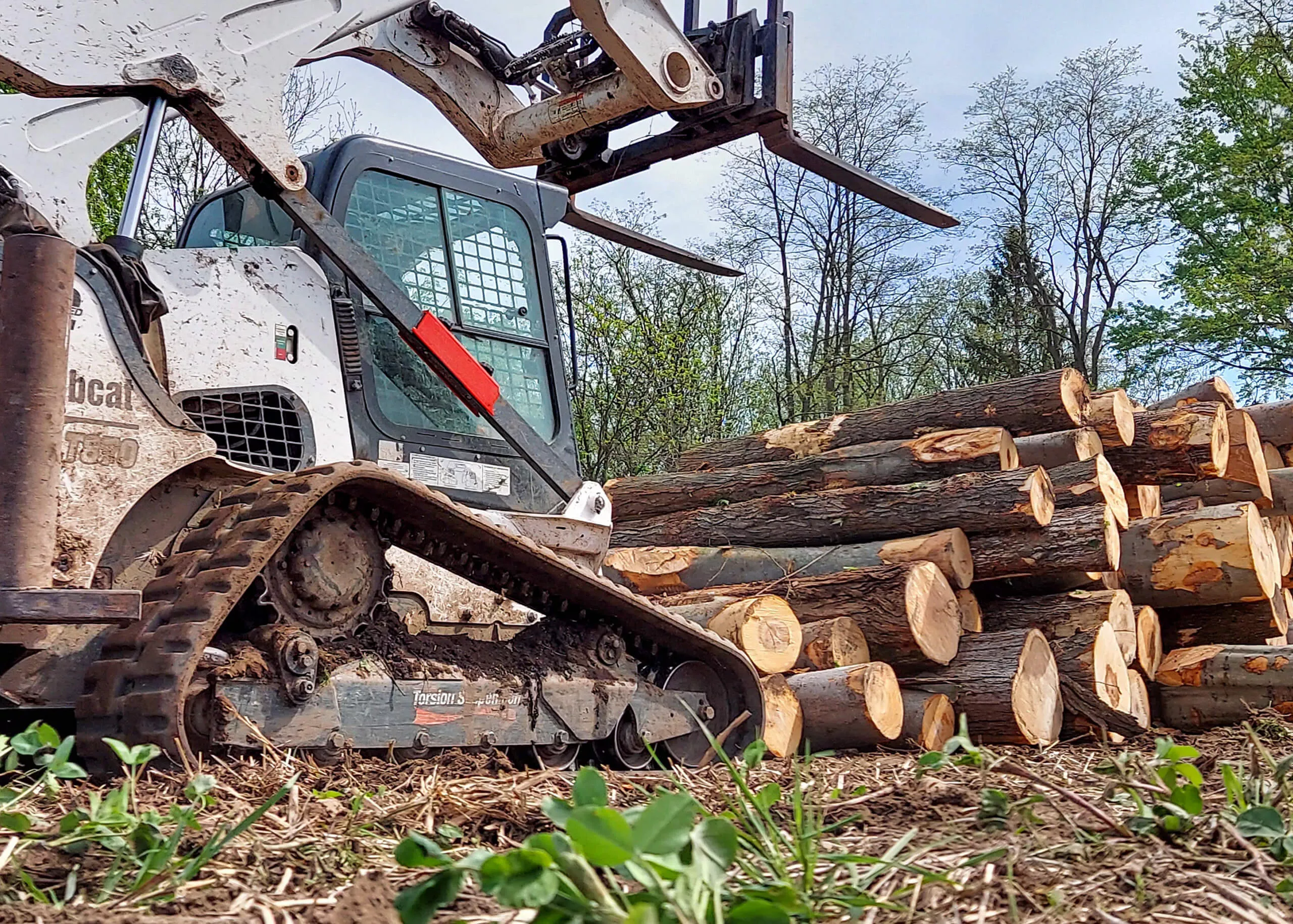 Lake Country Logging & Firewood - Just Plain Business
