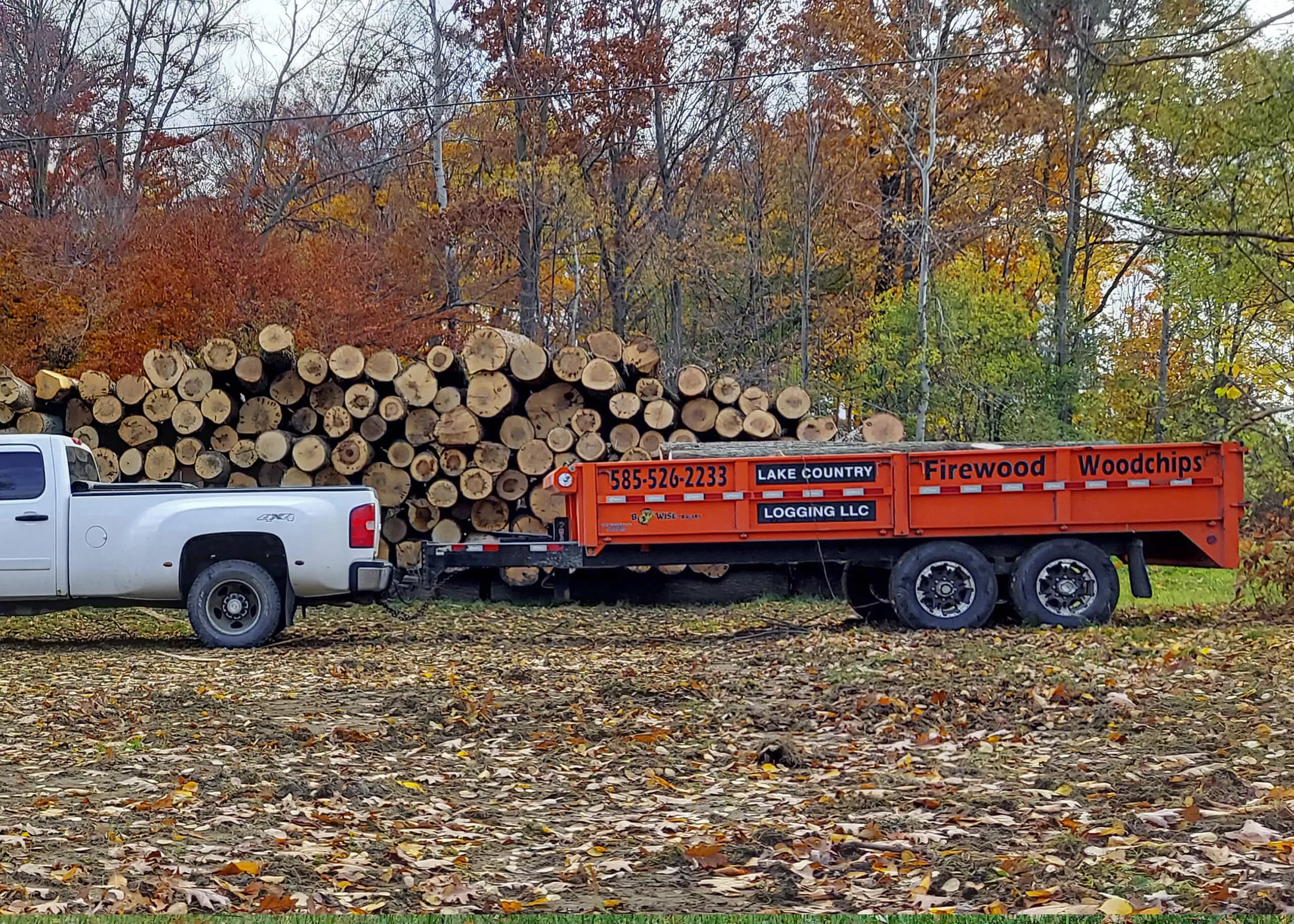 Lake Country Logging & Firewood - Just Plain Business