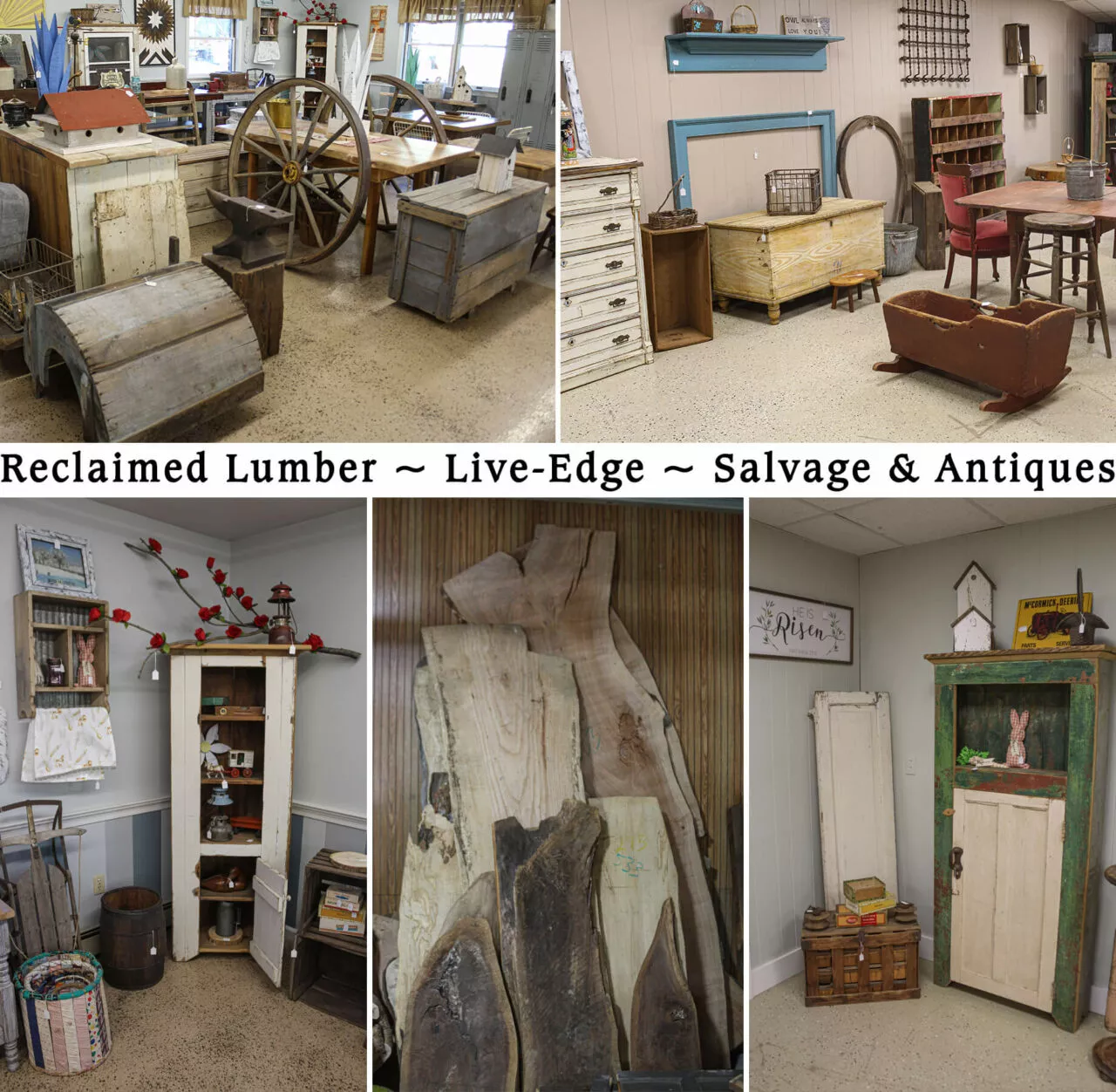 Lone Pine Primitives - Just Plain Business