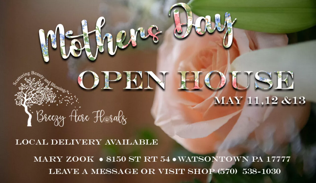 Breezy Acres Farm Flower Shop - Just Plain Business