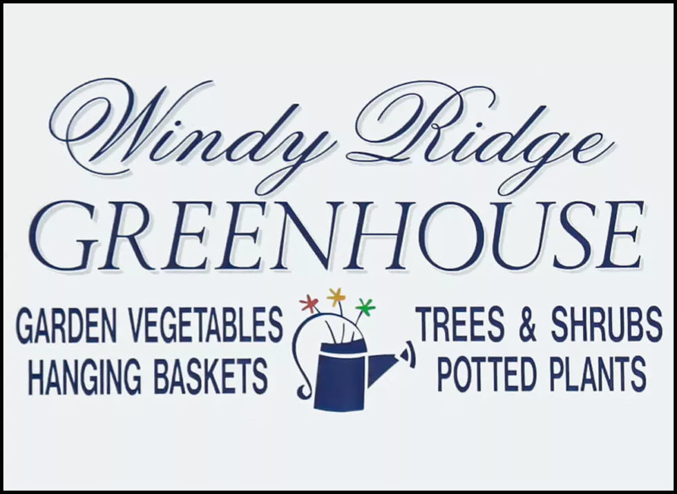 Windy Ridge Greenhouse - Just Plain Business