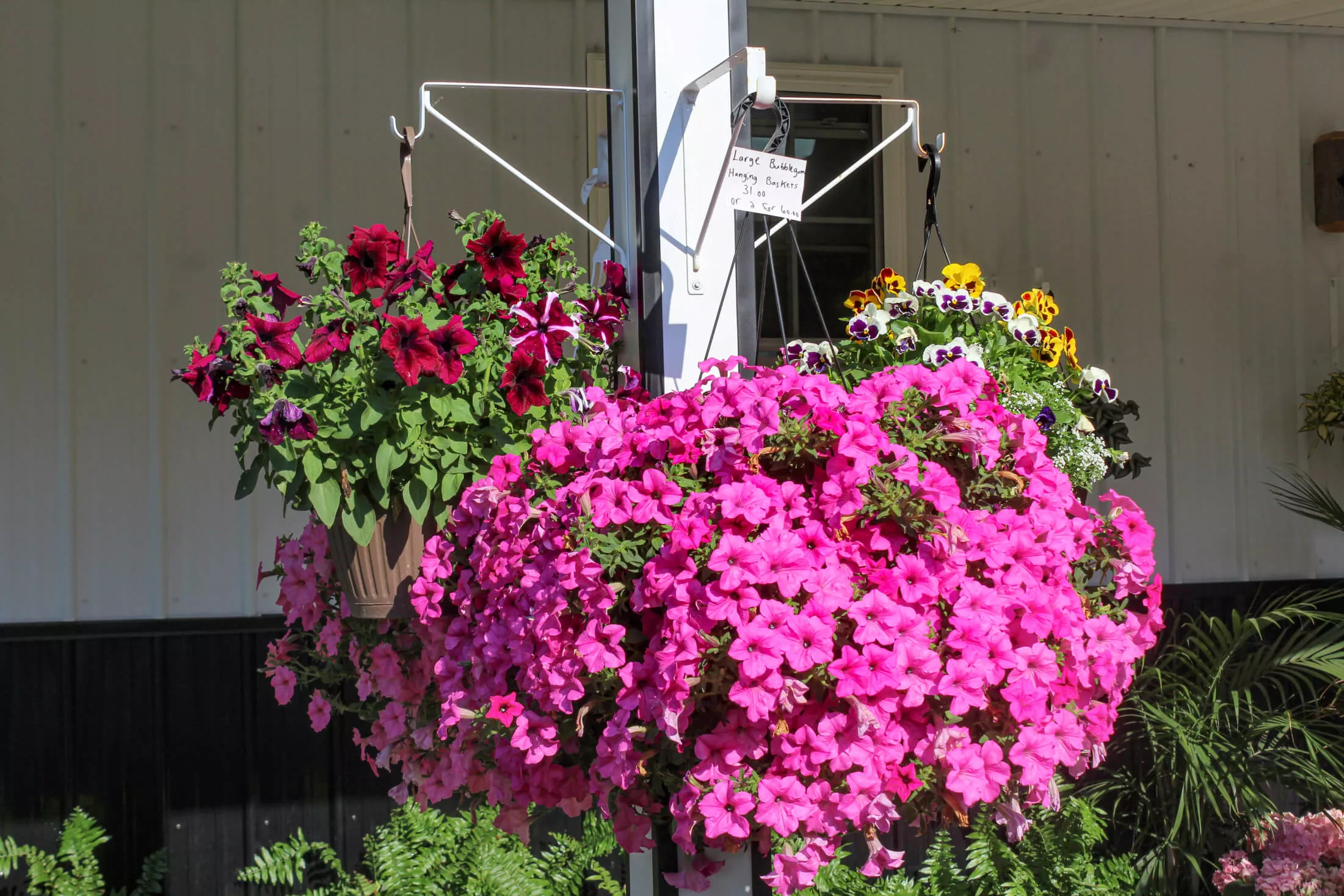 Humpback Fresh Farm Market - Just Plain Business