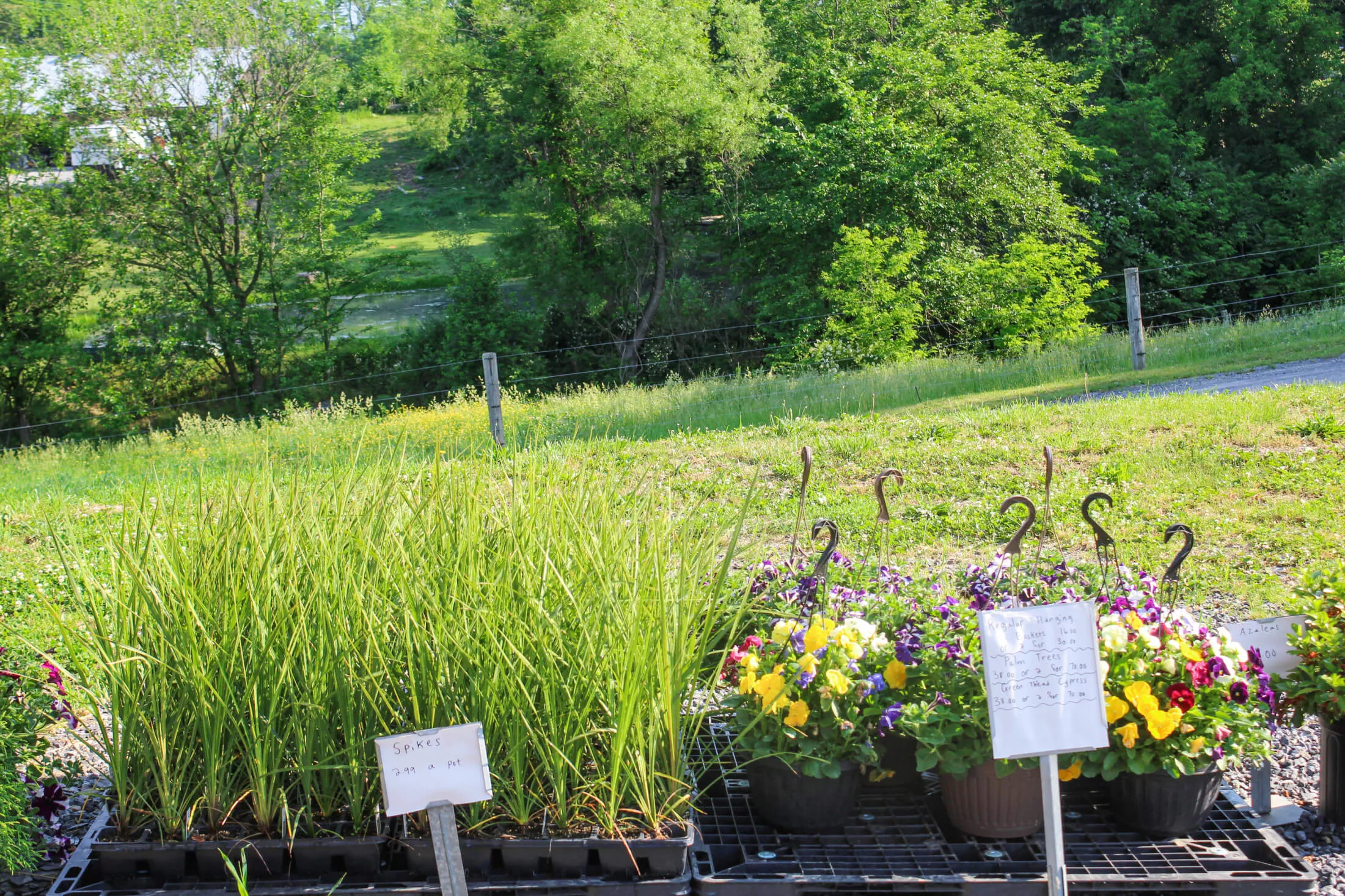 Humpback Fresh Farm Market - Just Plain Business