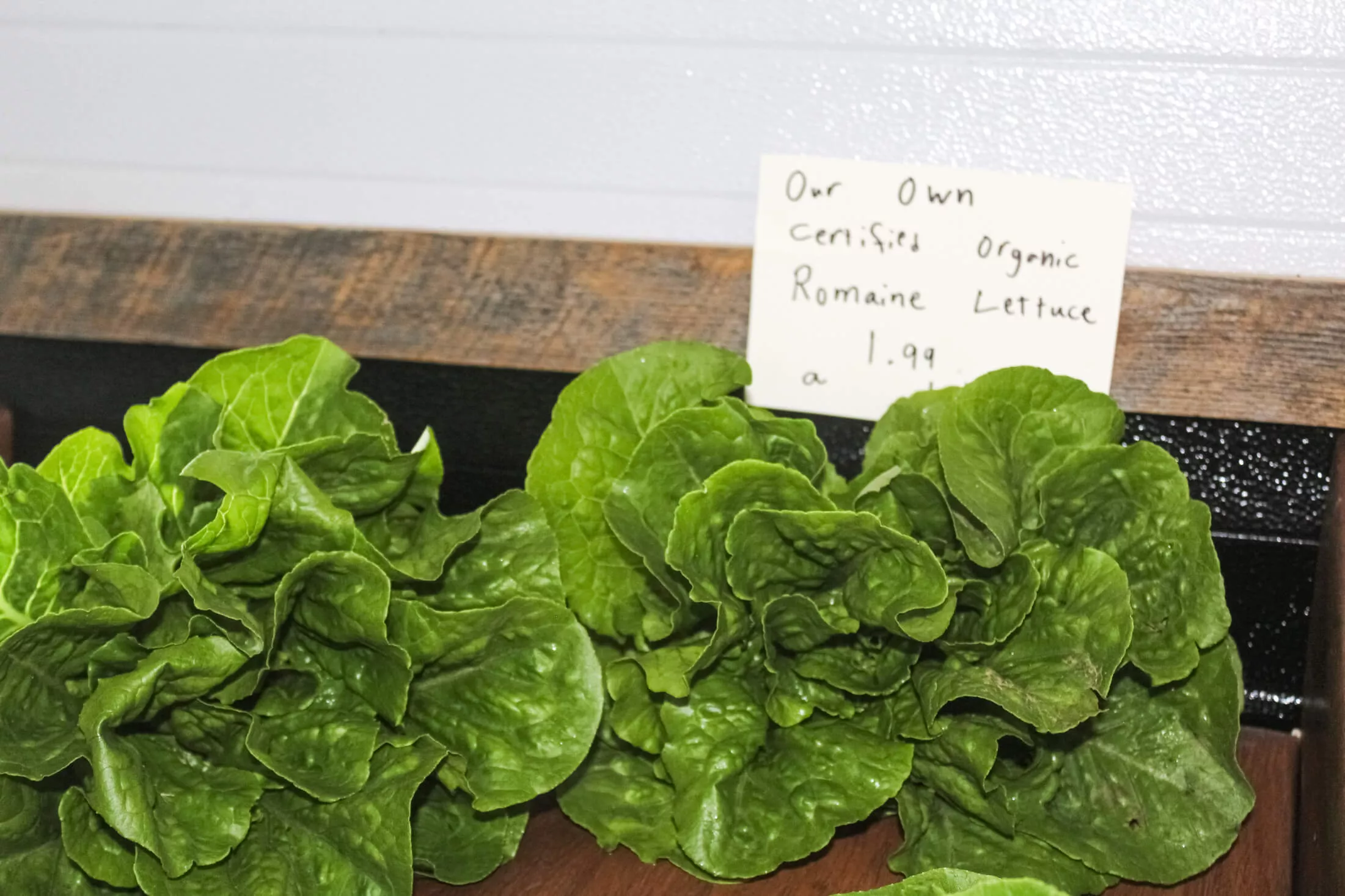 Humpback Fresh Farm Market - Just Plain Business