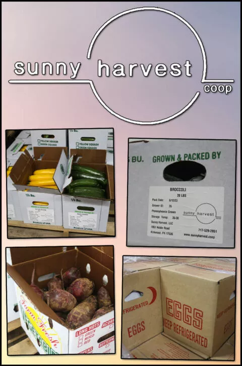 Sunny Harvest Produce Farm Cooperative - Just Plain Business