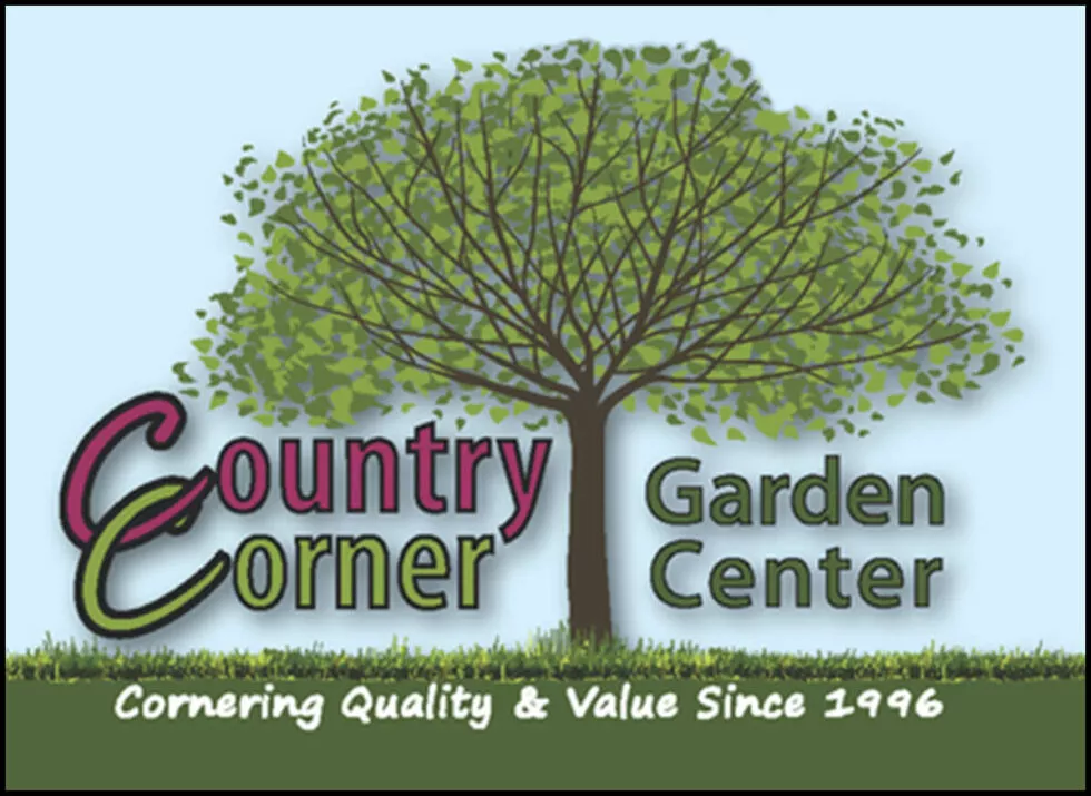 Country Corner Garden Center - Just Plain Business