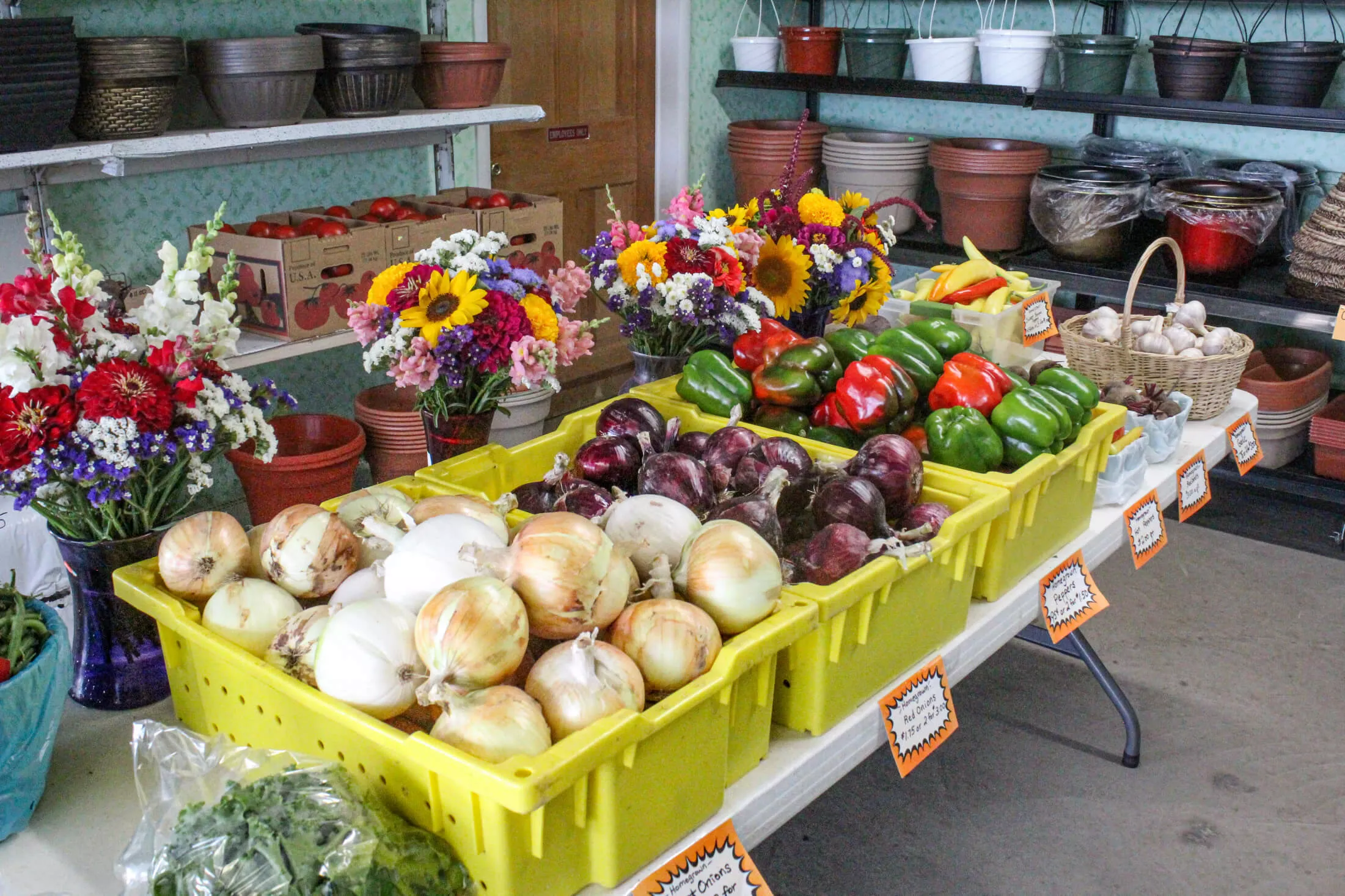 Hillside Produce and Greenhouse - Just Plain Business