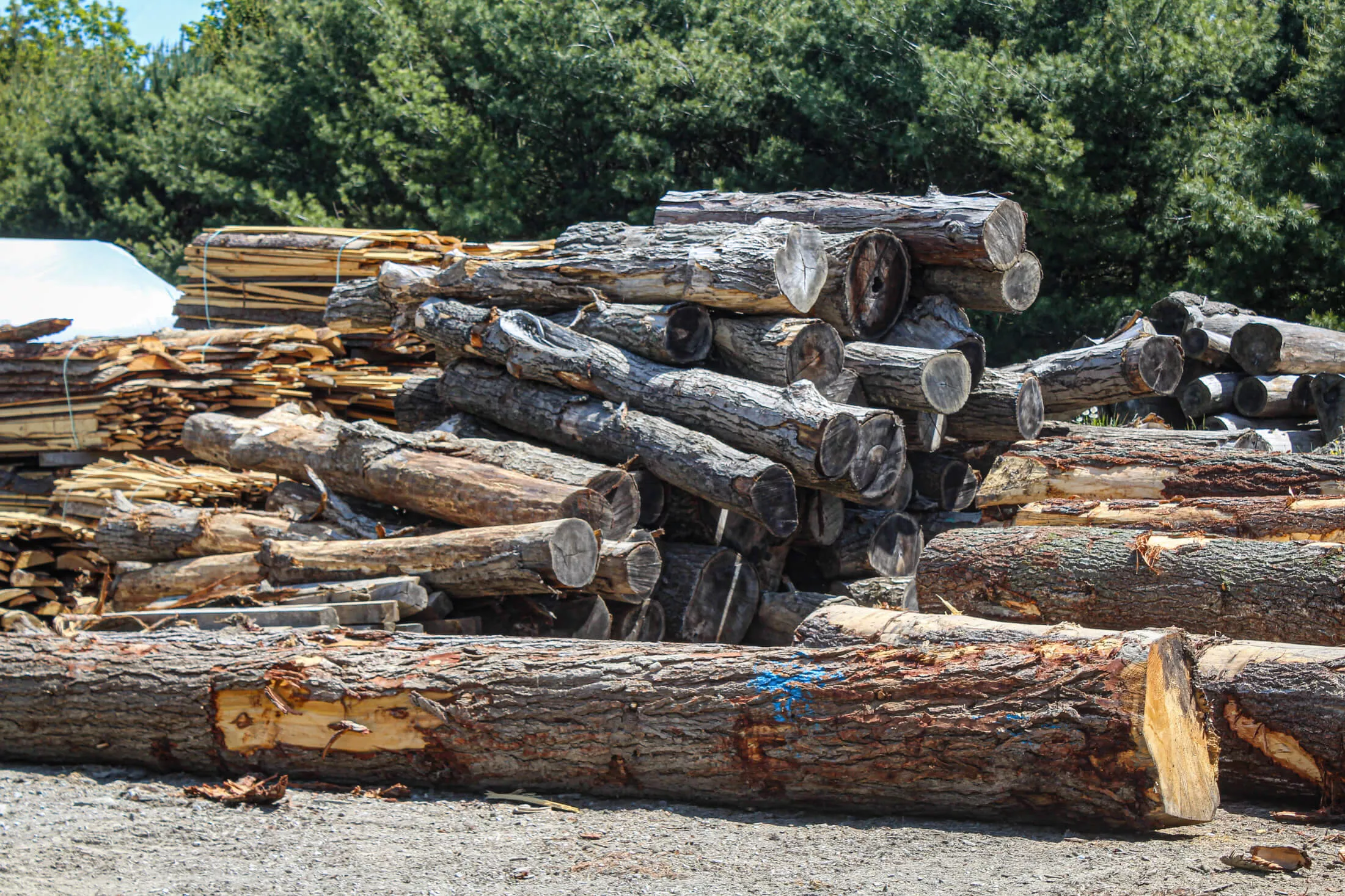 Lake Country Lumber - Just Plain Business