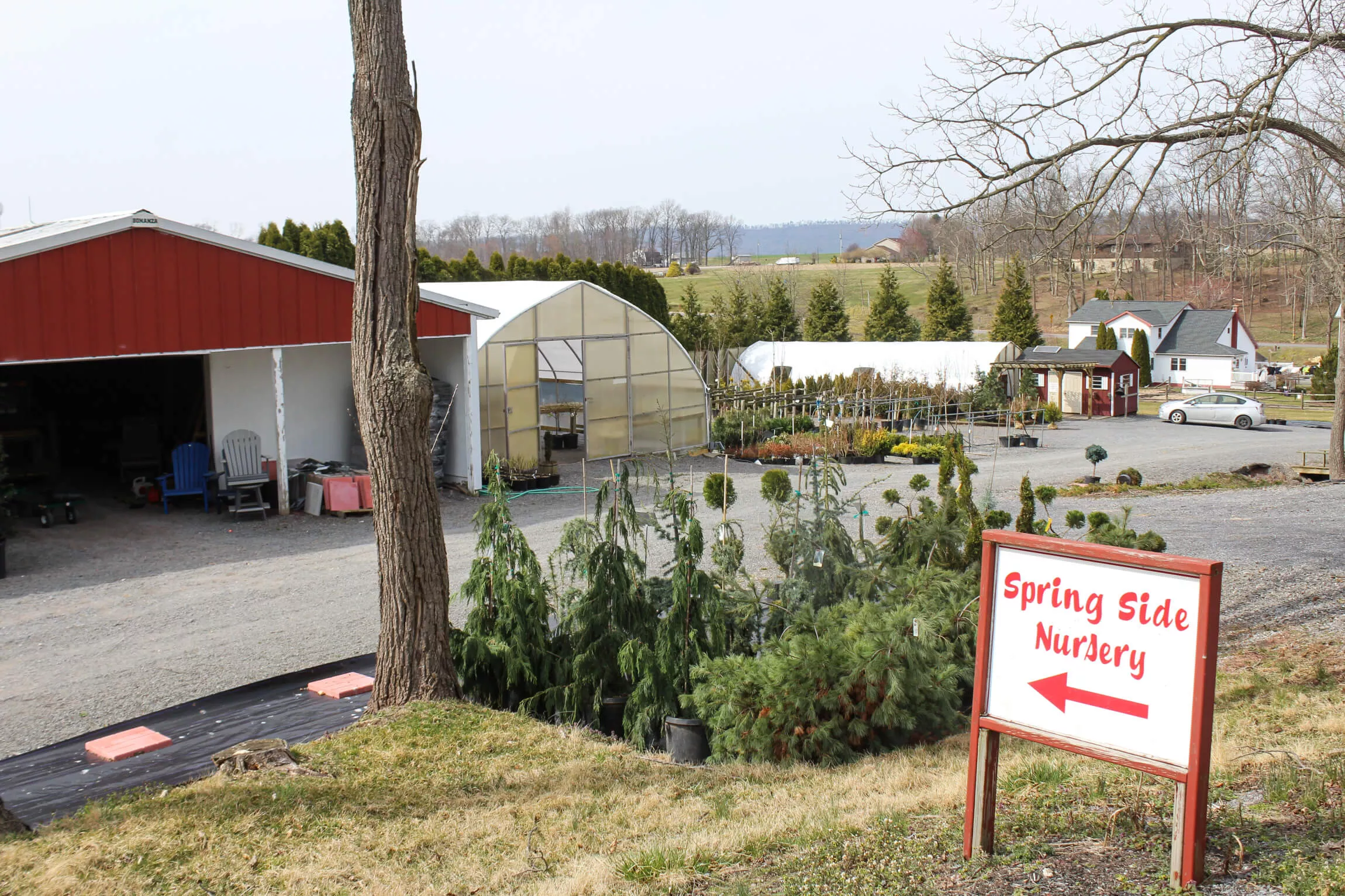 Spring Side Nursery & Outdoor Furniture - Just Plain Business