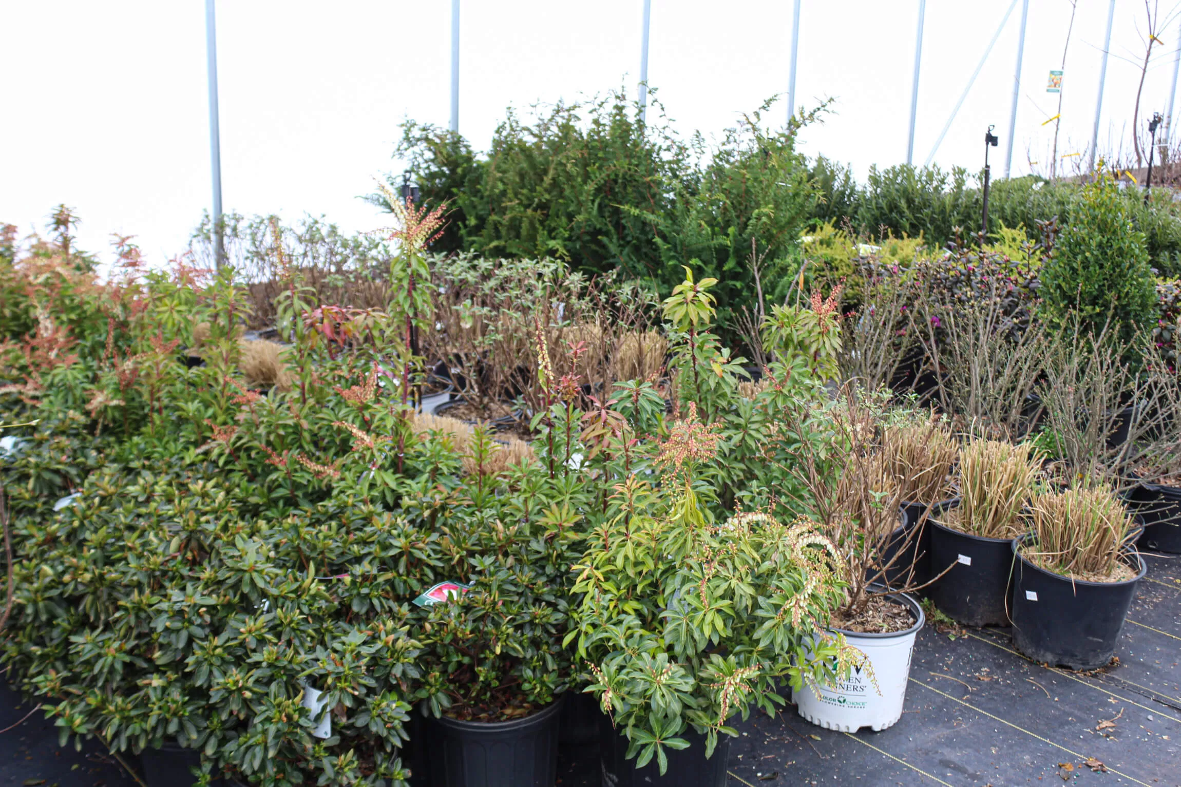 Spring Side Nursery & Outdoor Furniture - Just Plain Business