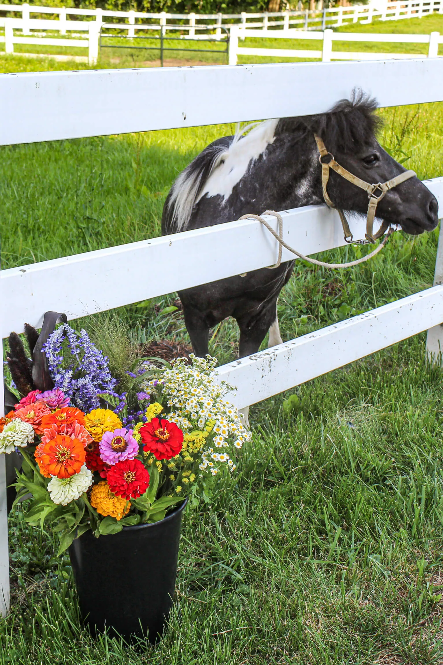 Unique Gardens Fresh Flowers - Just Plain Business