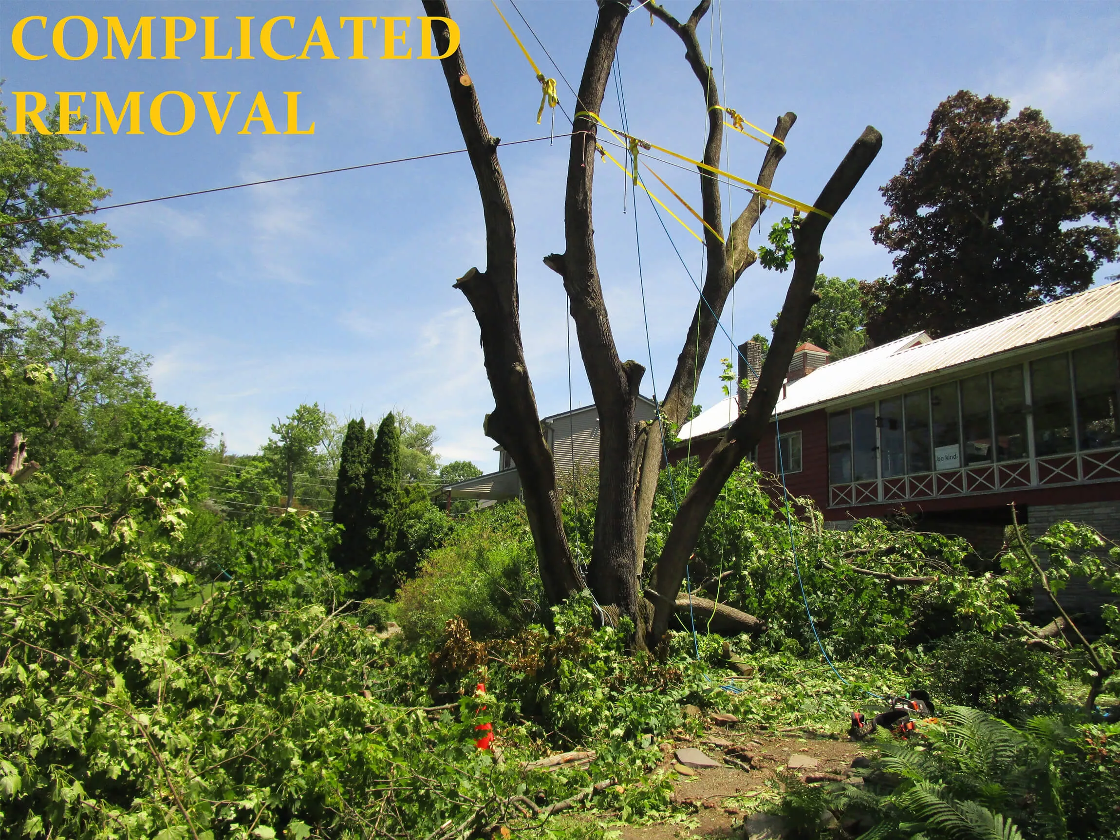 Penn Haven Tree Works - Just Plain Business