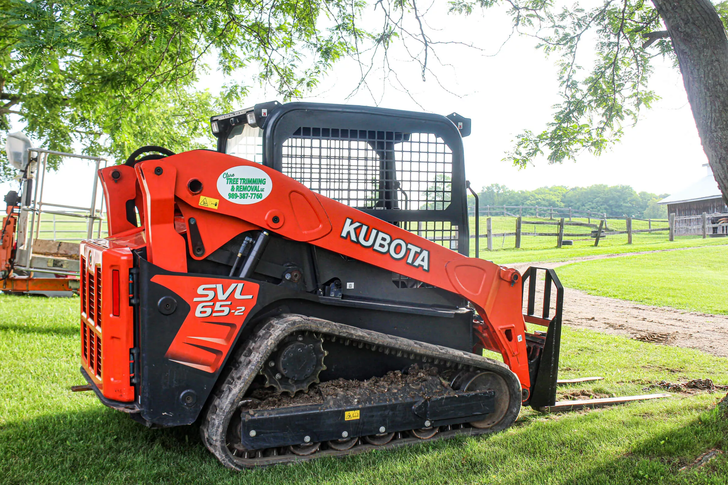 Clare Tree Trimming and Removal - Just Plain Business