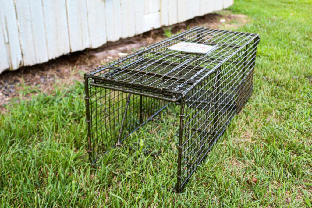 EZ-Set Cage Traps - Just Plain Business