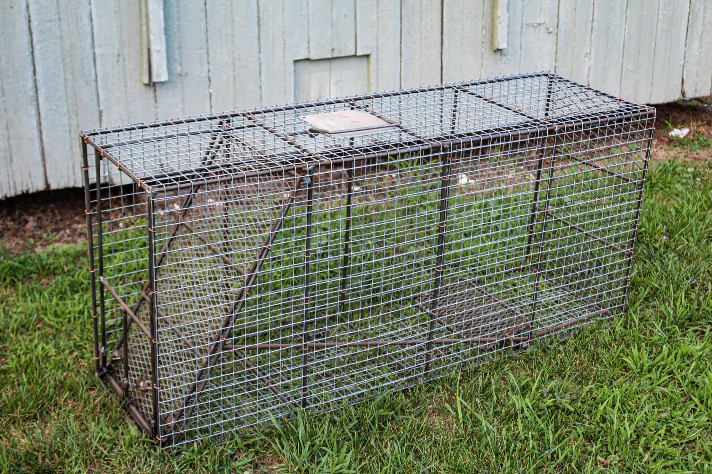 EZ-Set Cage Traps - Just Plain Business