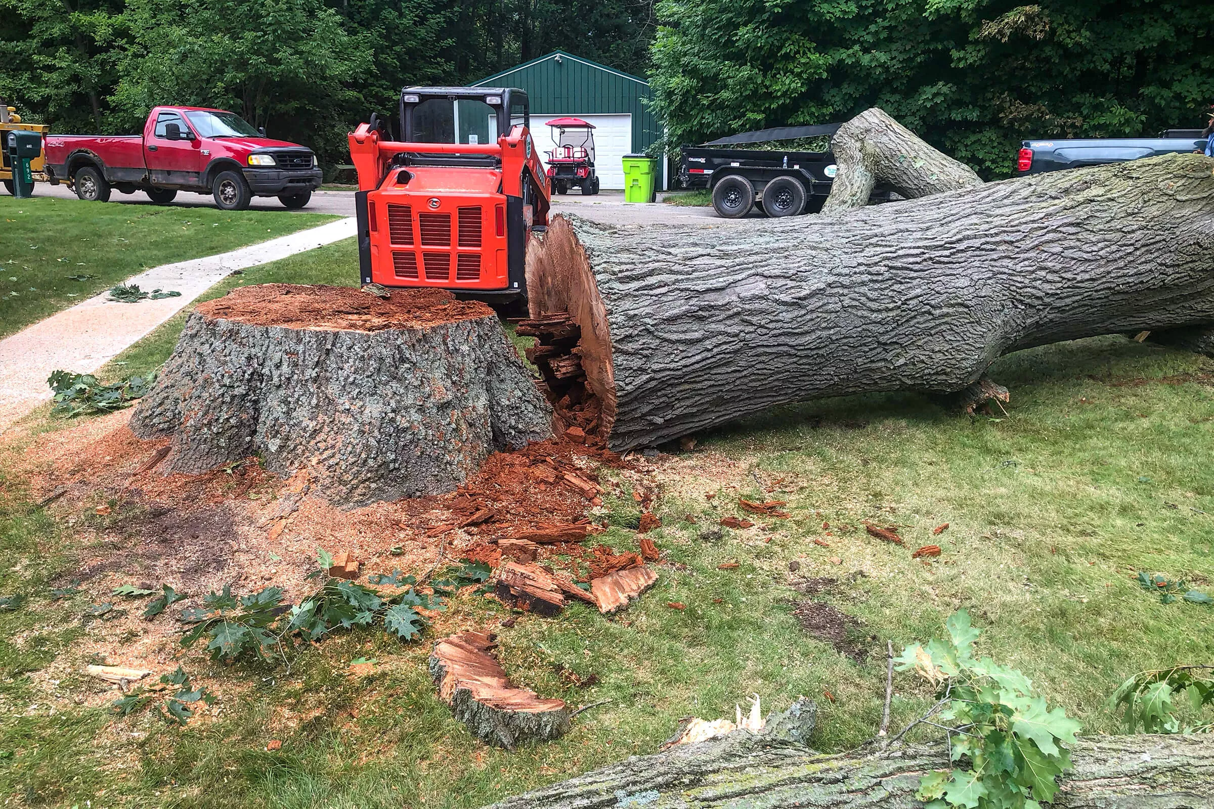 Clare Tree Trimming and Removal - Just Plain Business