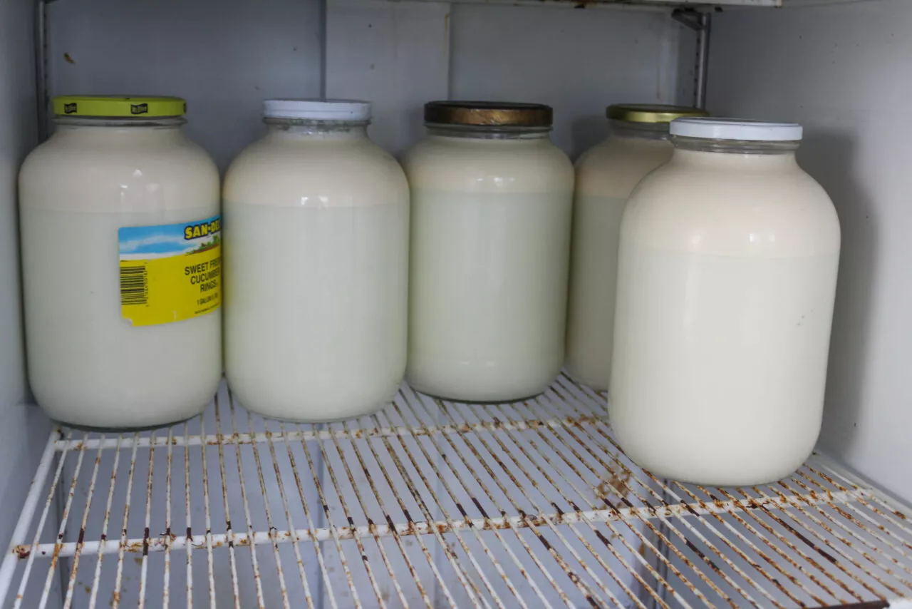 The Milk Barn - Just Plain Business