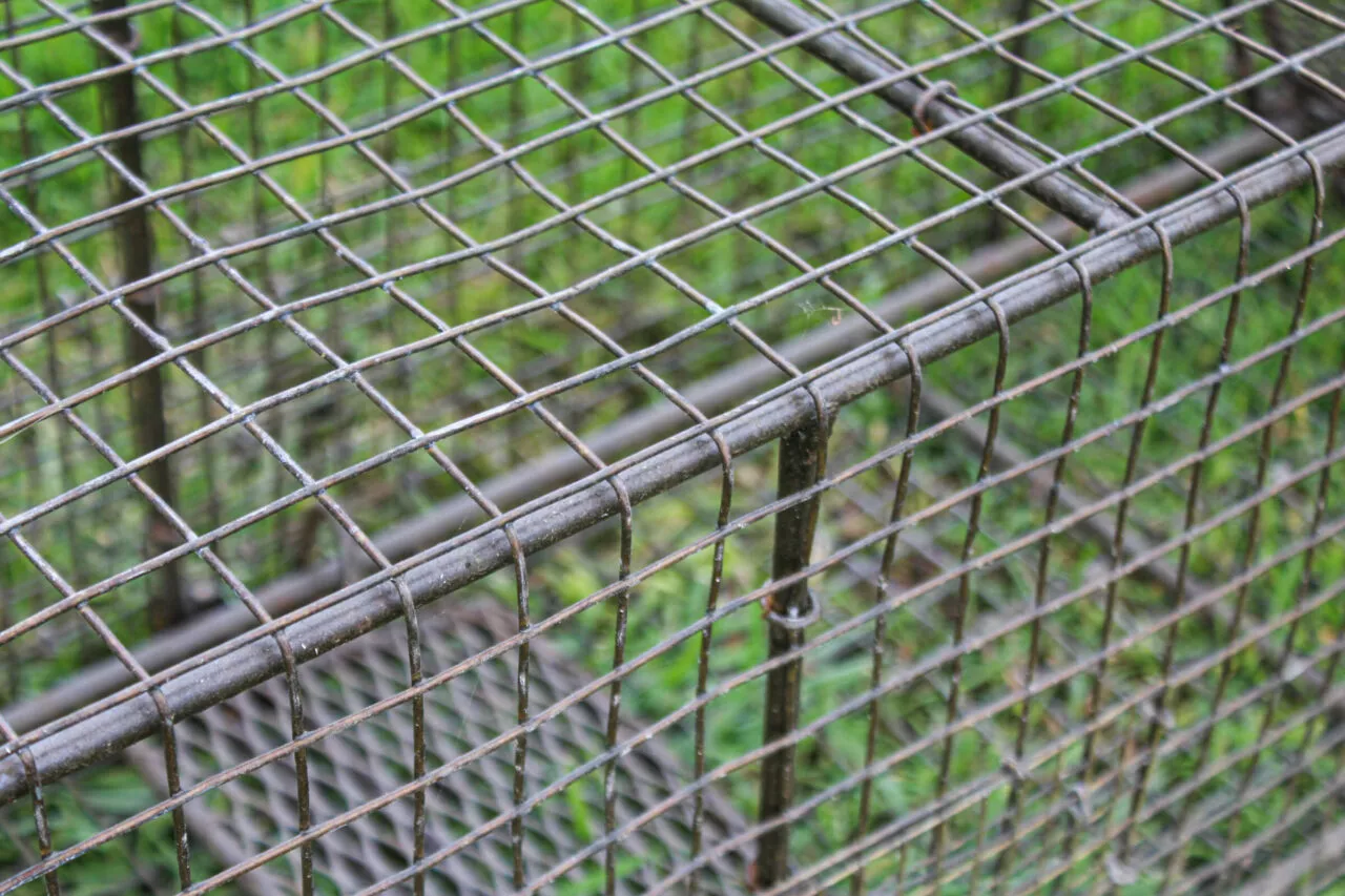 EZ-Set Cage Traps - Just Plain Business